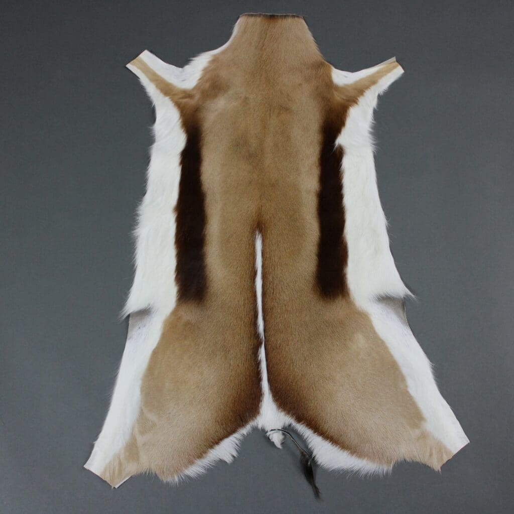 Springbok Hide Rugs - Hide Rugs