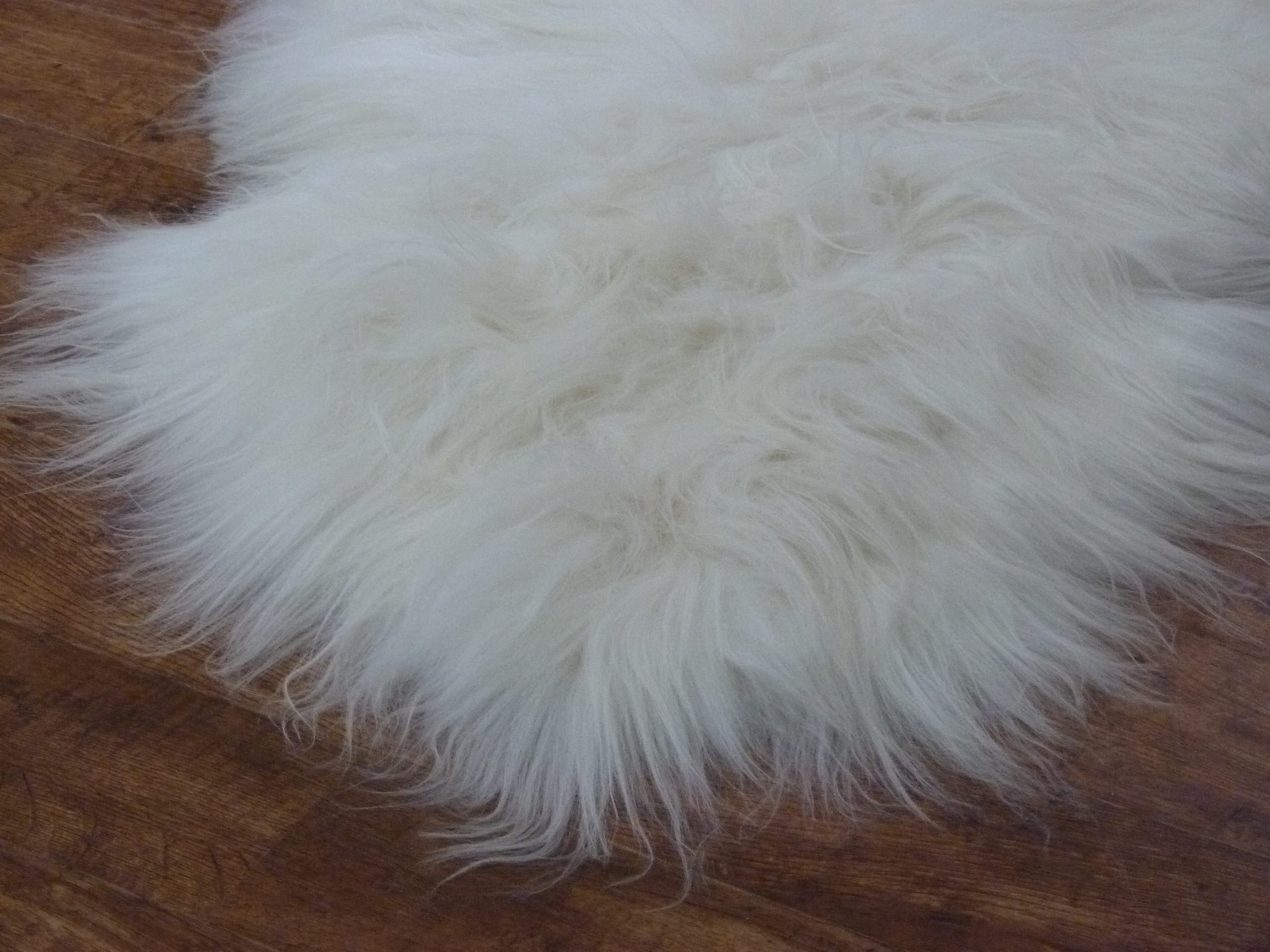Icelandic Sheepskin Rug Ivory SML - Hide Rugs