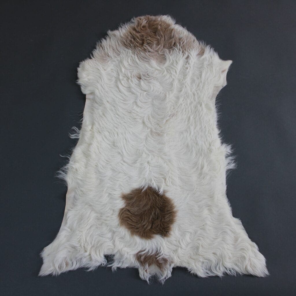 Icelandic Sheepskin Rug 2 Skin Ivory - Hide Rugs