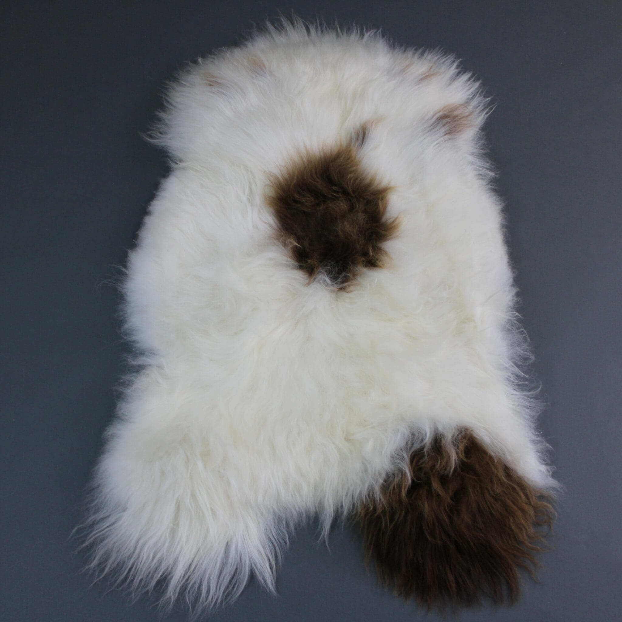 Icelandic Sheepskin Grey LRG - Hide Rugs