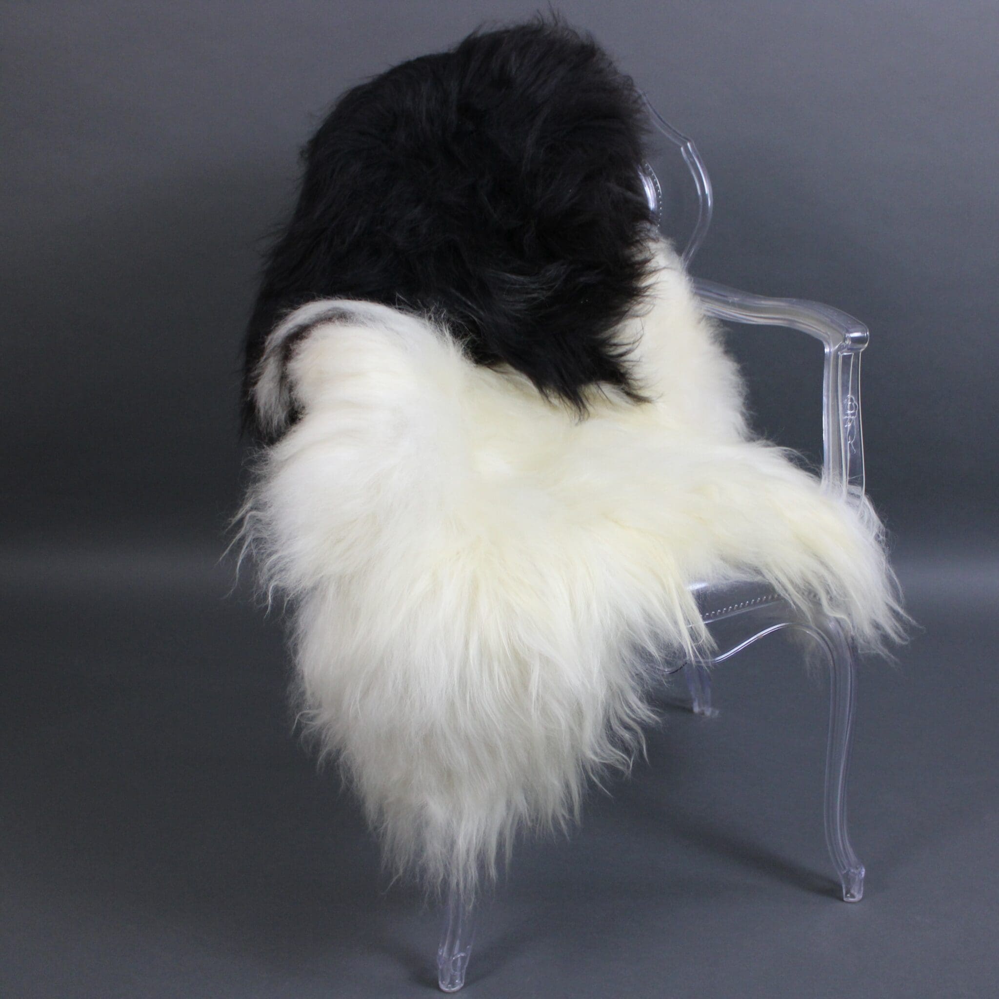 Icelandic Sheepskin Rug Grey Shorn - Hide Rugs