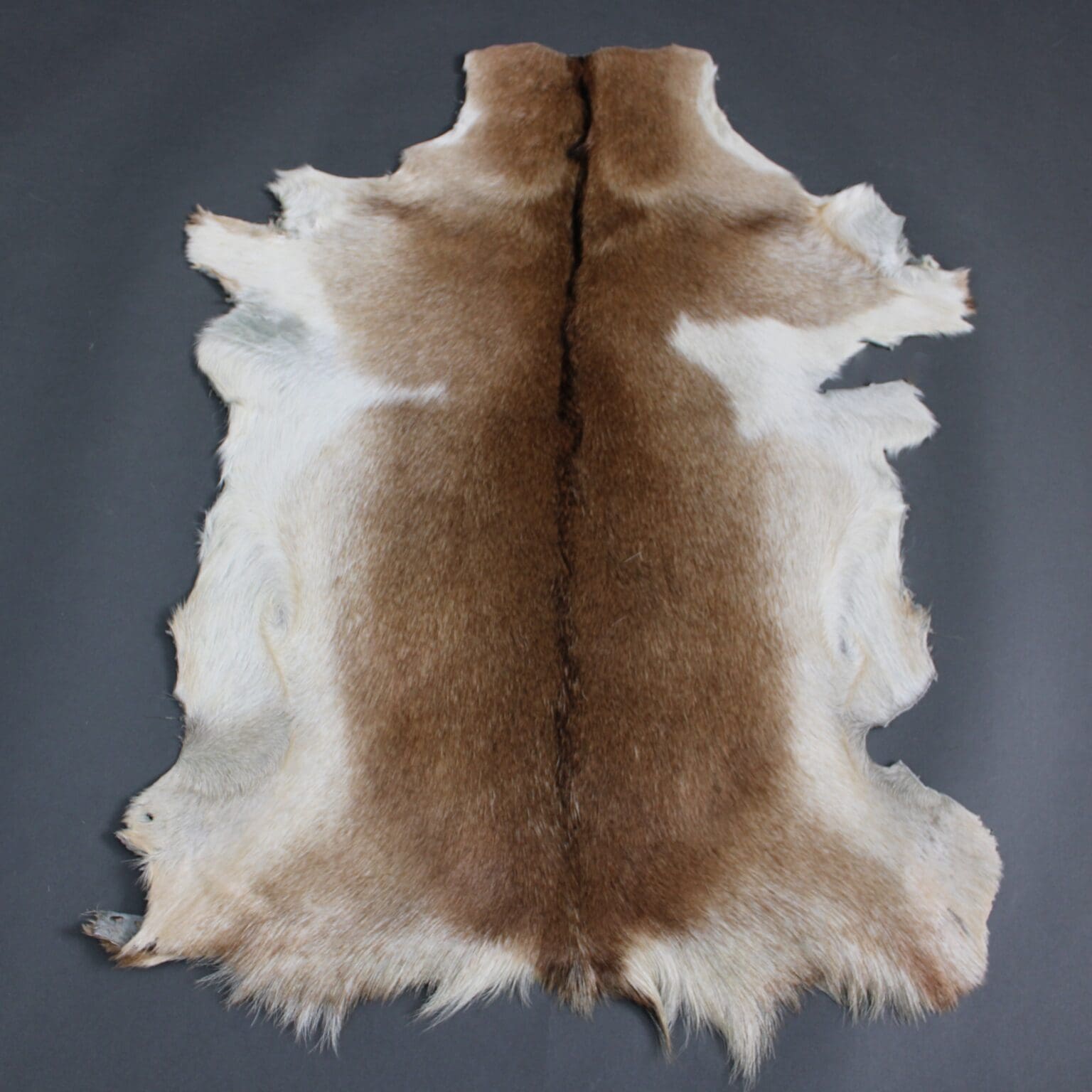 Exotic Rugs - Hide Rugs