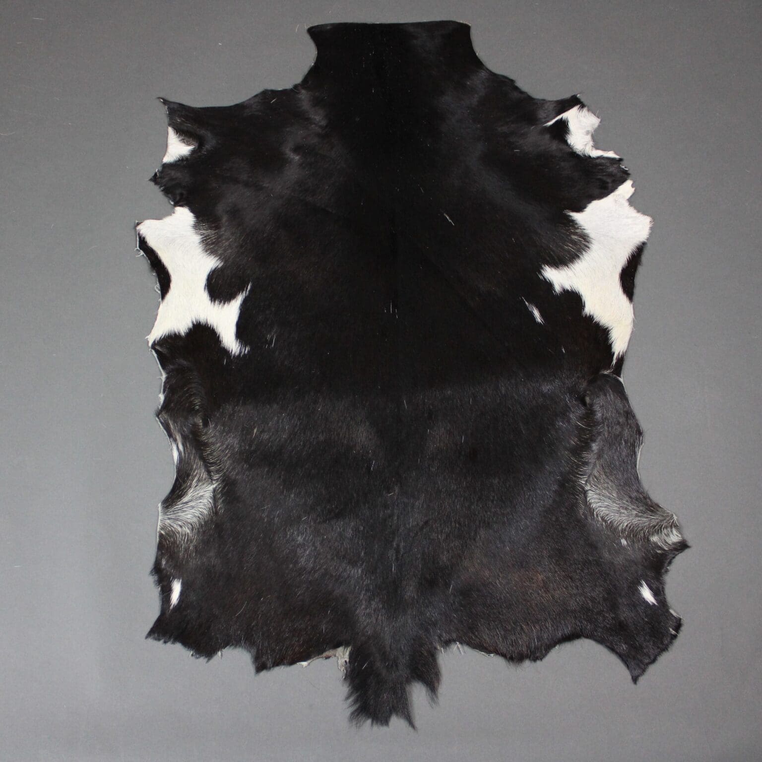 Goatskin Hides - Hide Rugs