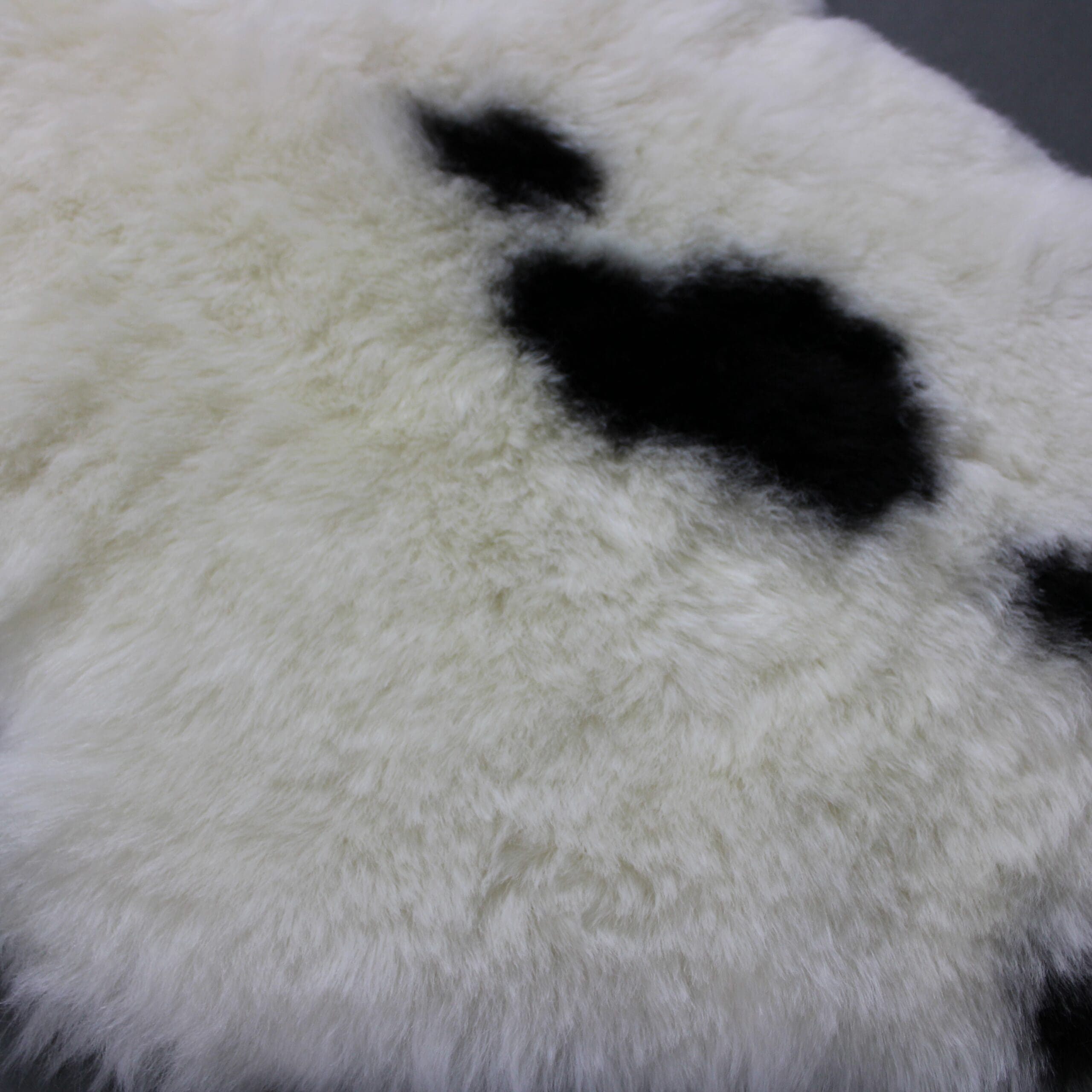 Natural Icelandic Sheepskin Rug Shorn IMX129-SHORN - Hide Rugs