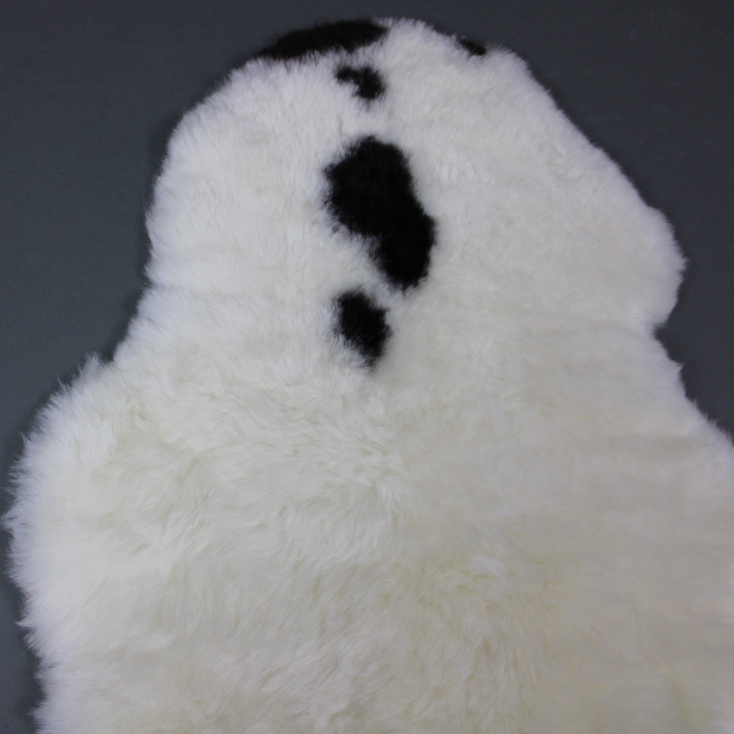 Natural Icelandic Sheepskin Rug Shorn IMX129-SHORN - Hide Rugs