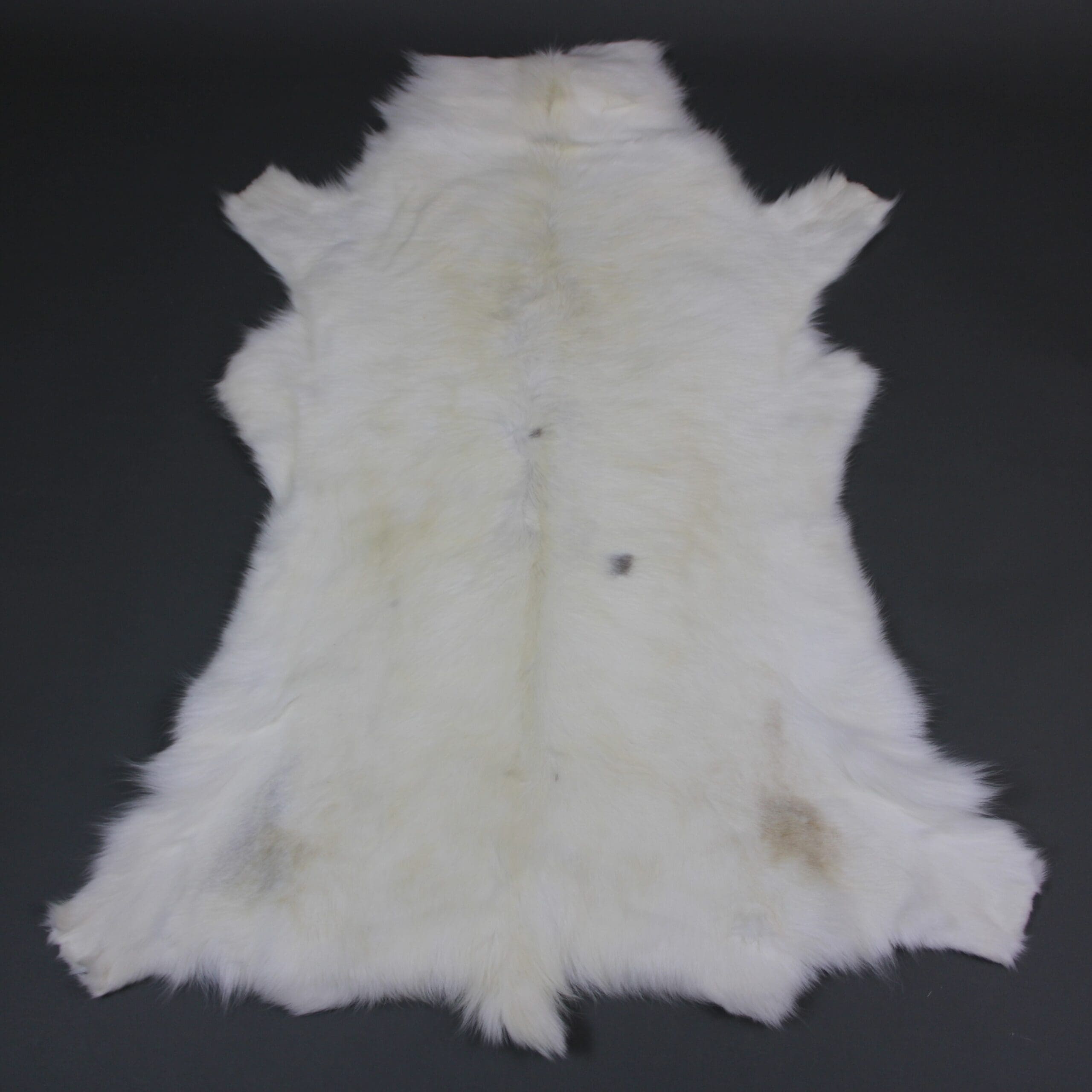 White Reindeer Hide WR250 - Hide Rugs