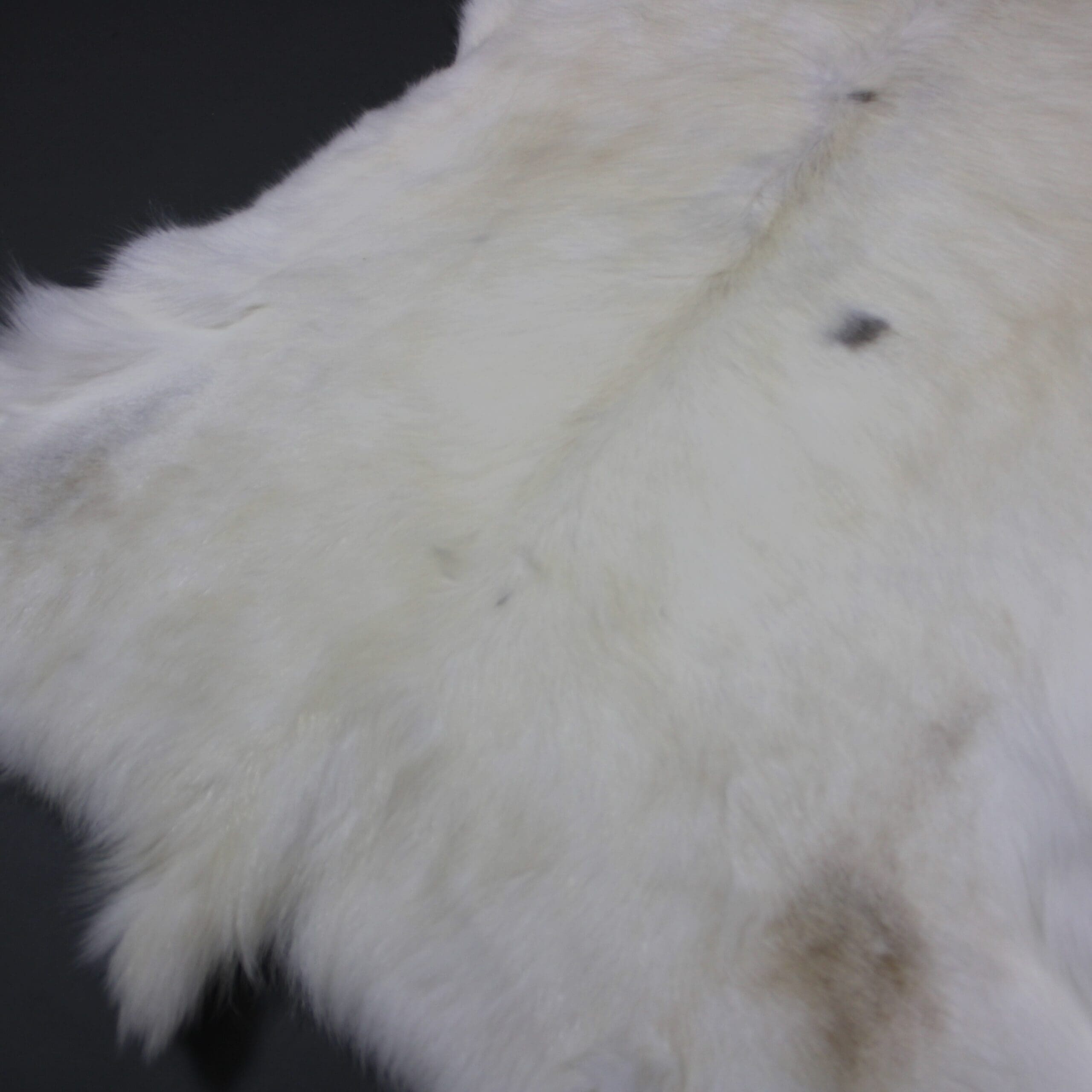 White Reindeer Hide WR250 - Hide Rugs