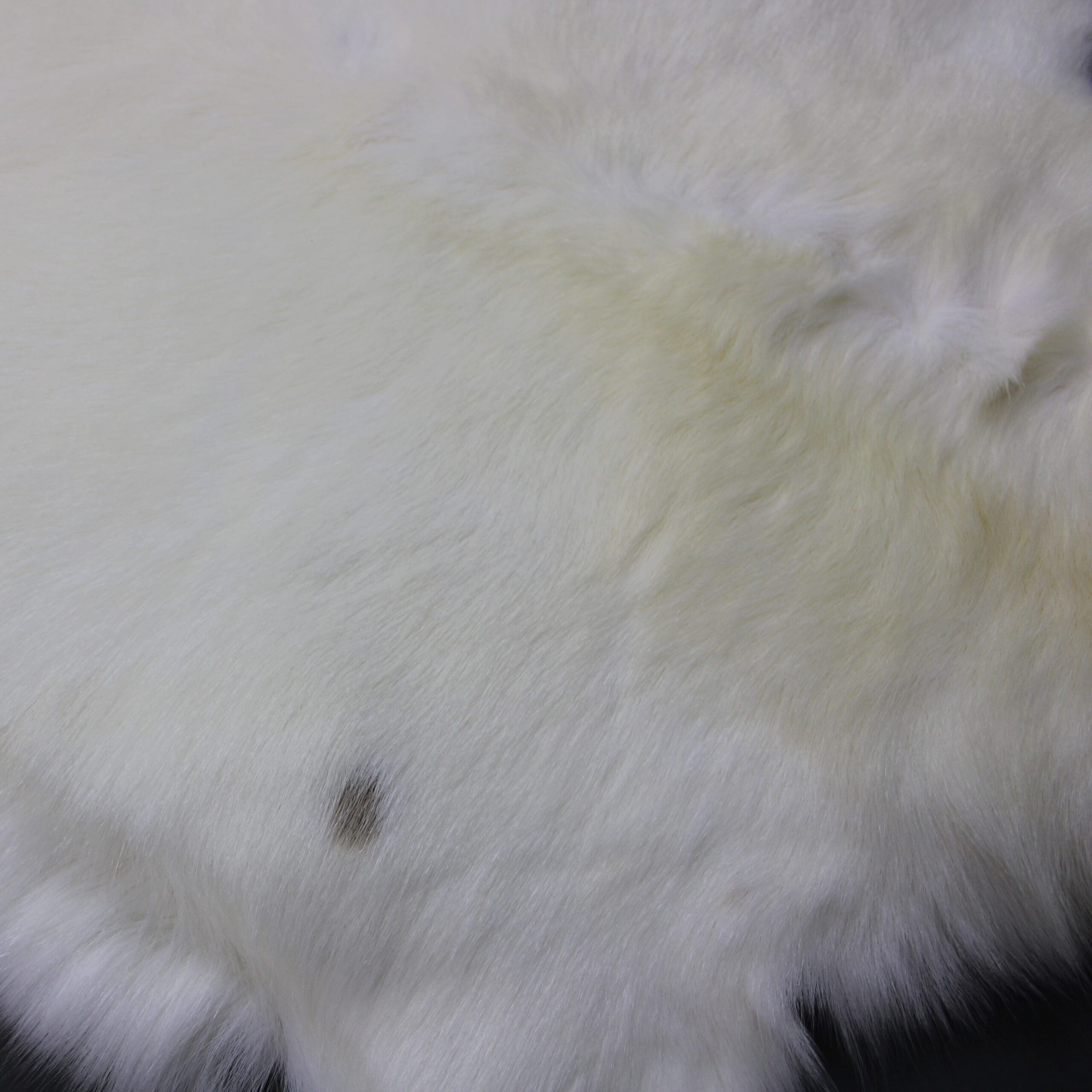 White Reindeer Hide WR251 - Hide Rugs