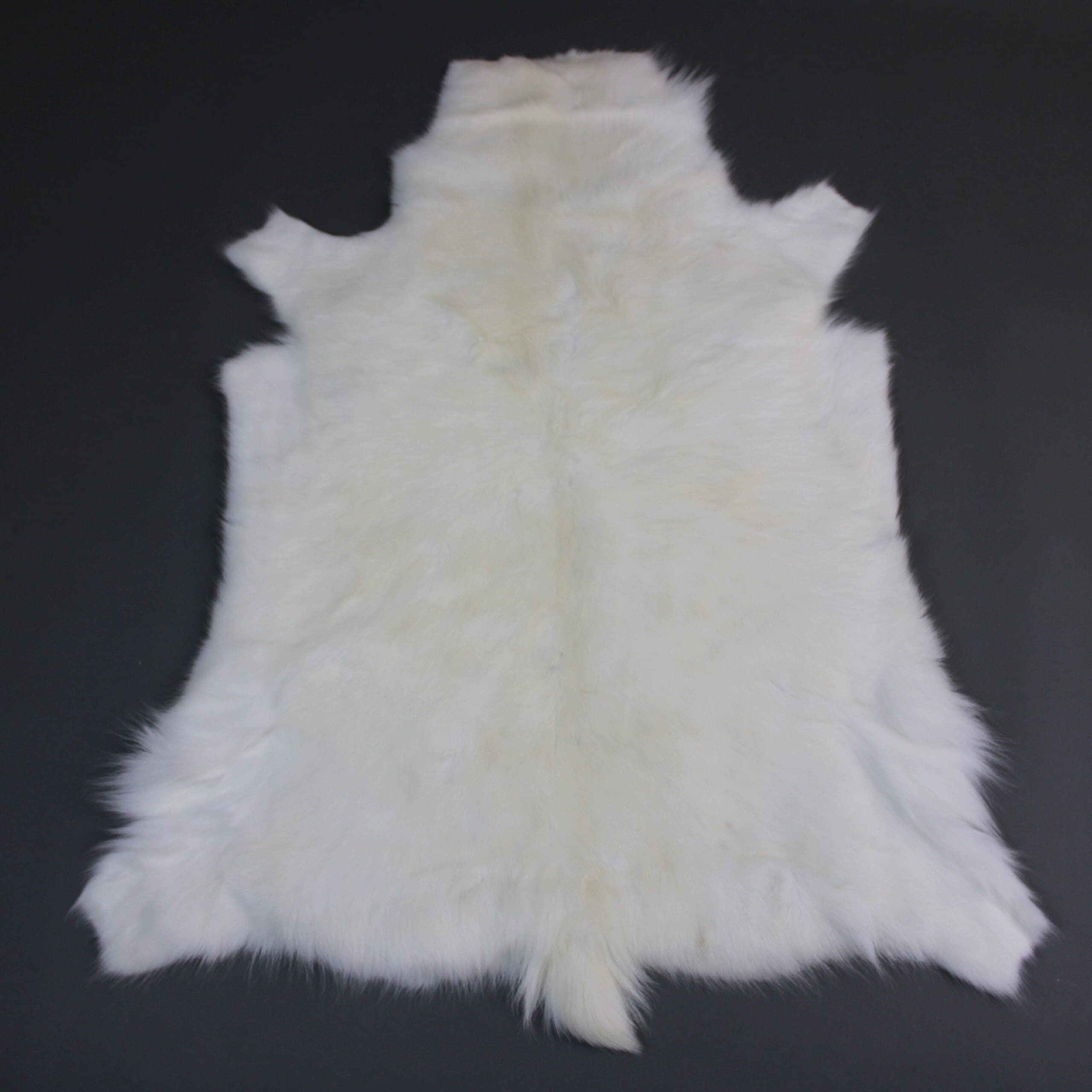 White Reindeer Hide WR252 - Hide Rugs