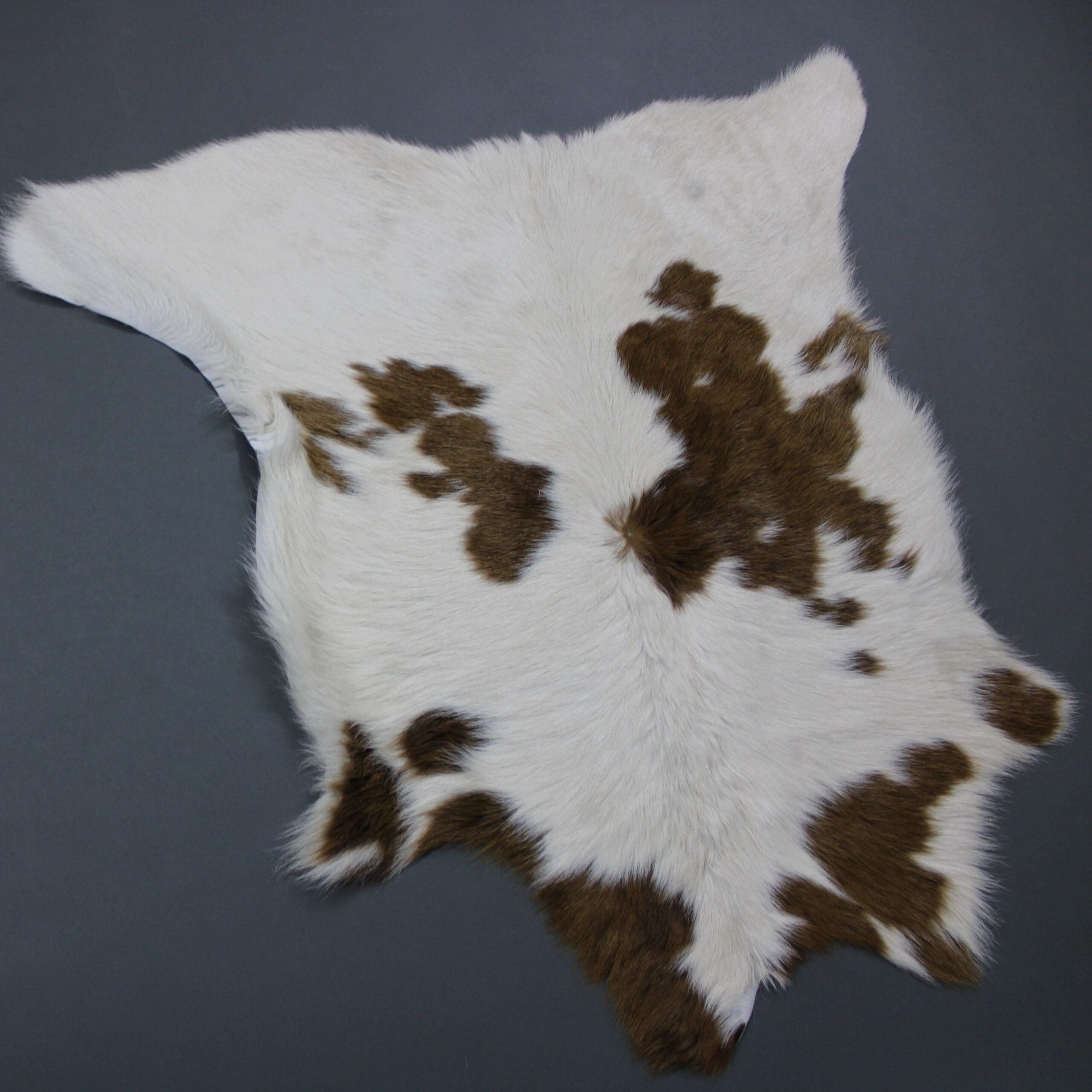 Calf Skin Rug CF143 - Hide Rugs