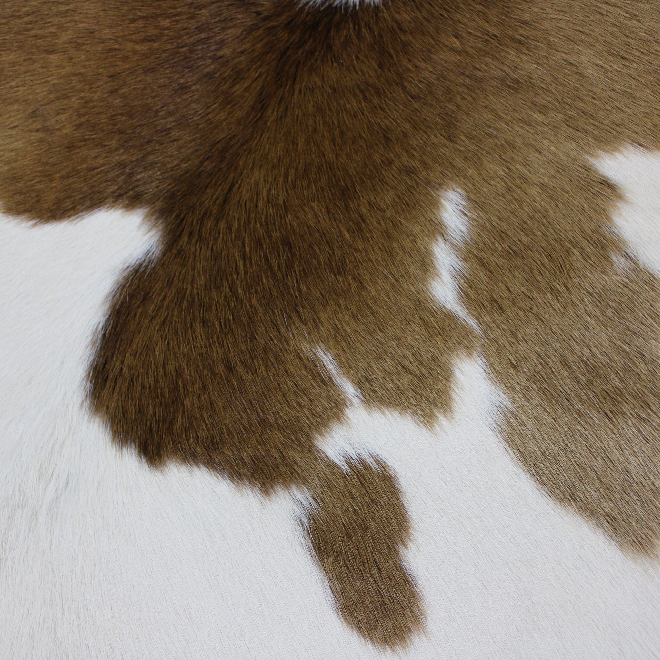 Calf Skin Rug CF145 - Hide Rugs