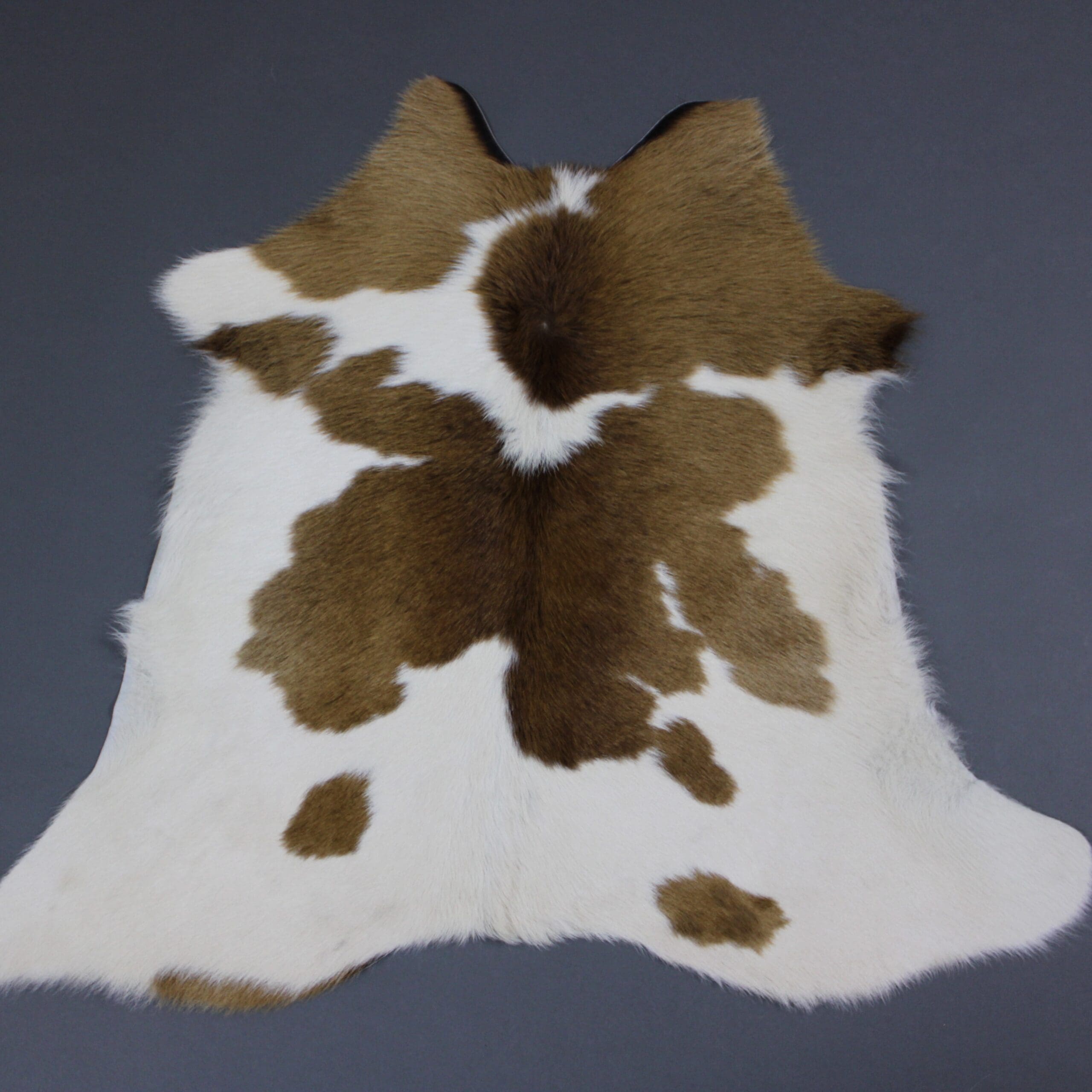 Calf Skin Rug CF145 - Hide Rugs