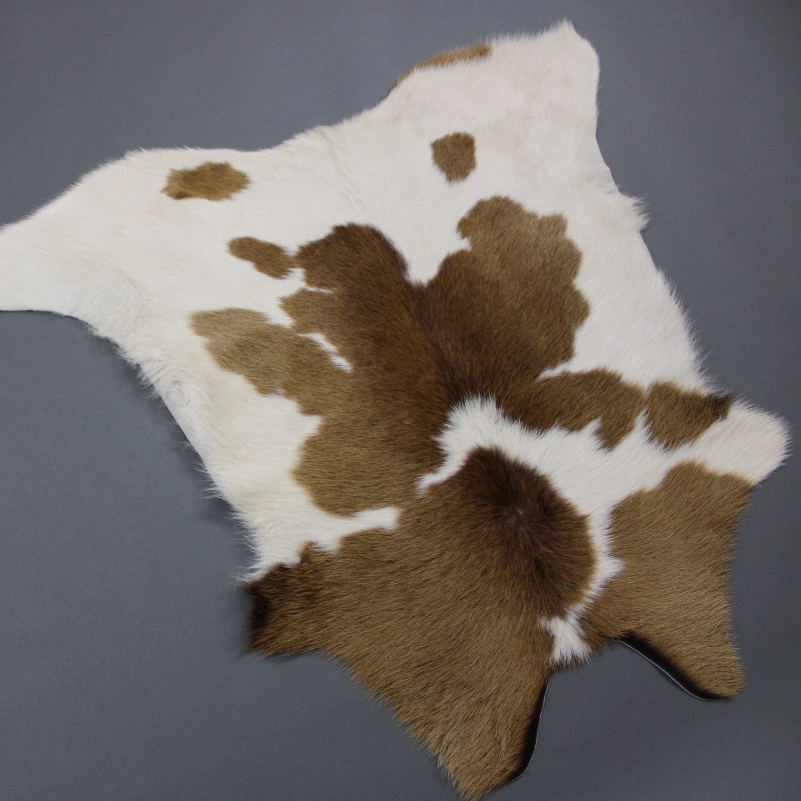 Calf Skin Rug CF145 - Hide Rugs