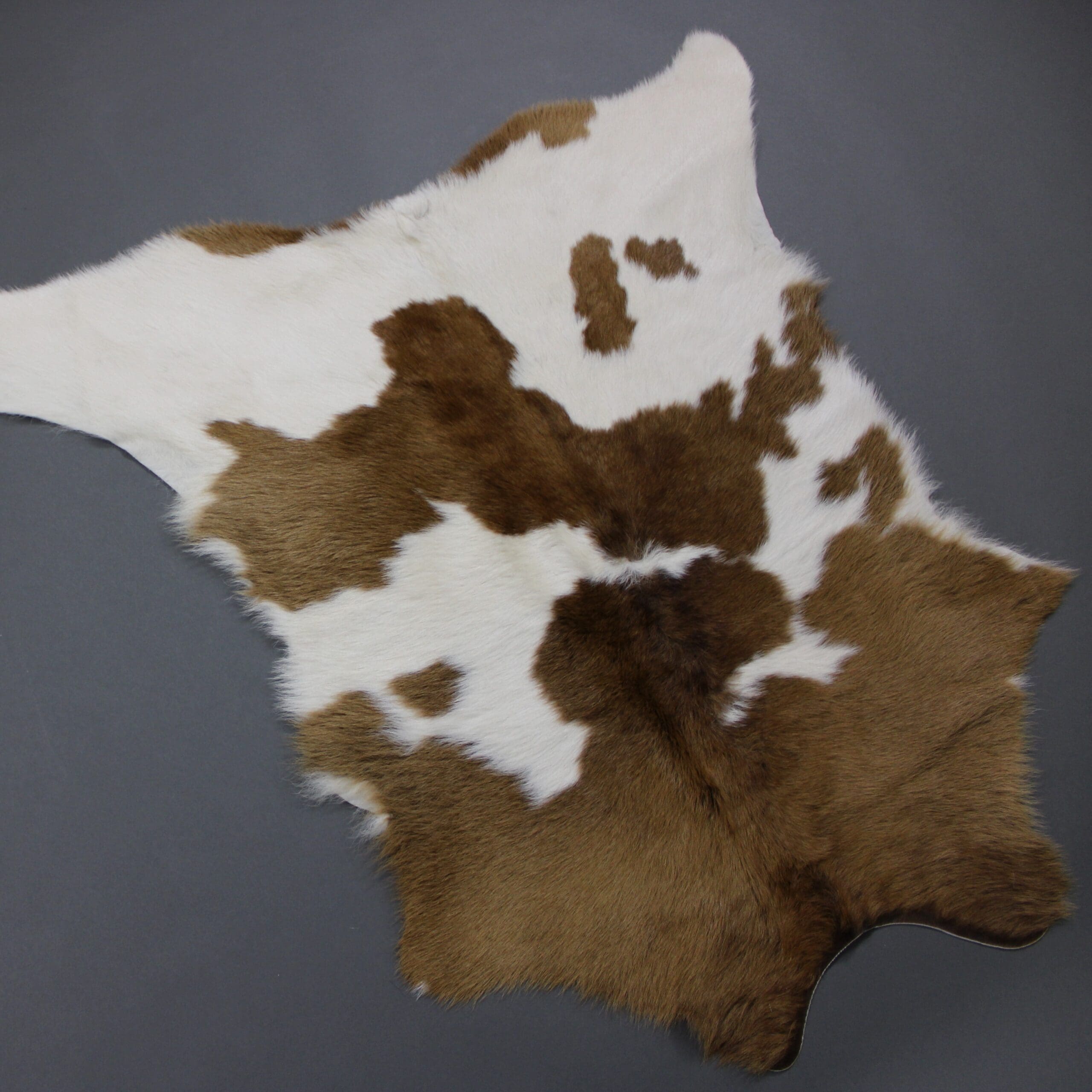 Calf Skin Rug CF154 - Hide Rugs