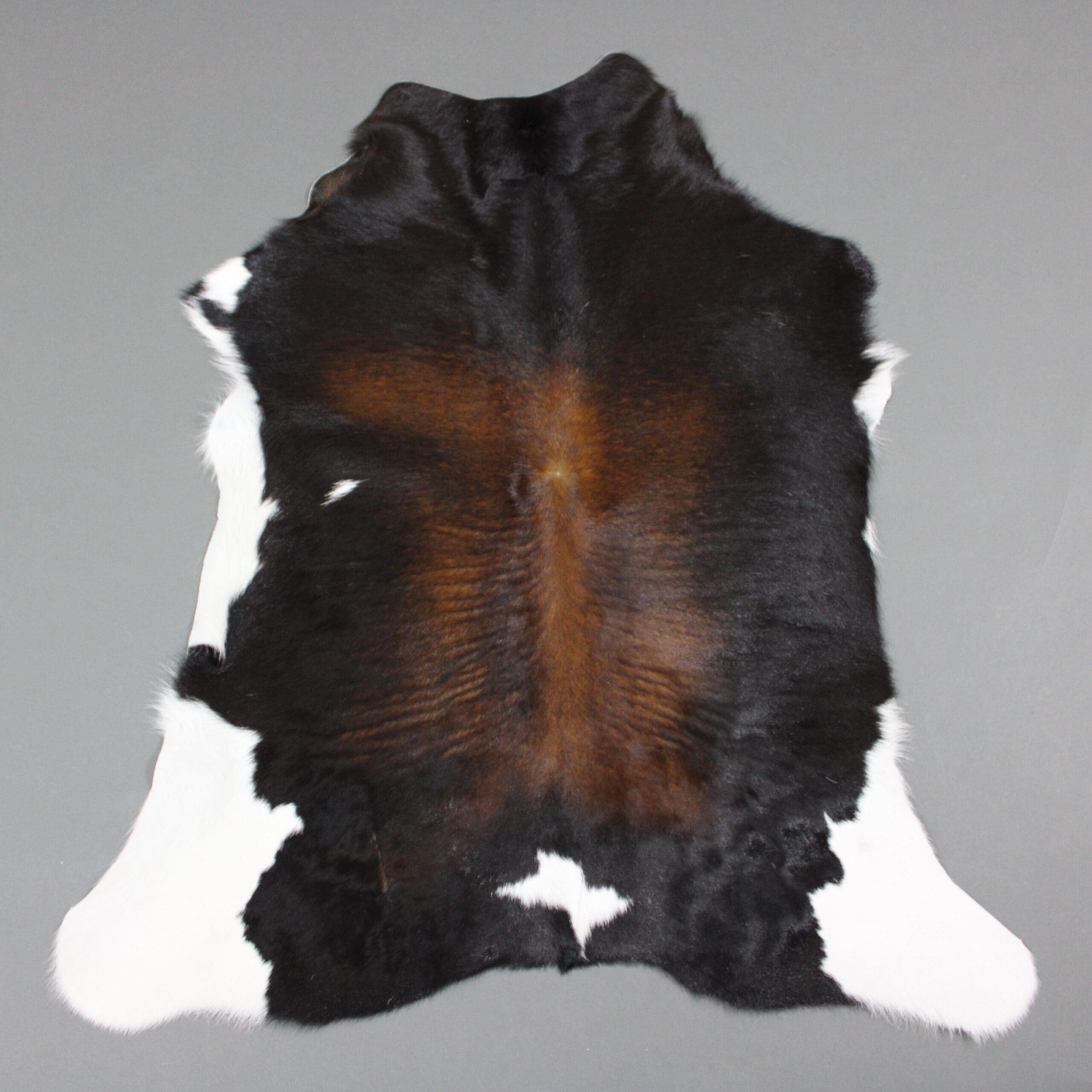 Calf Skin Rug CF158 - Hide Rugs