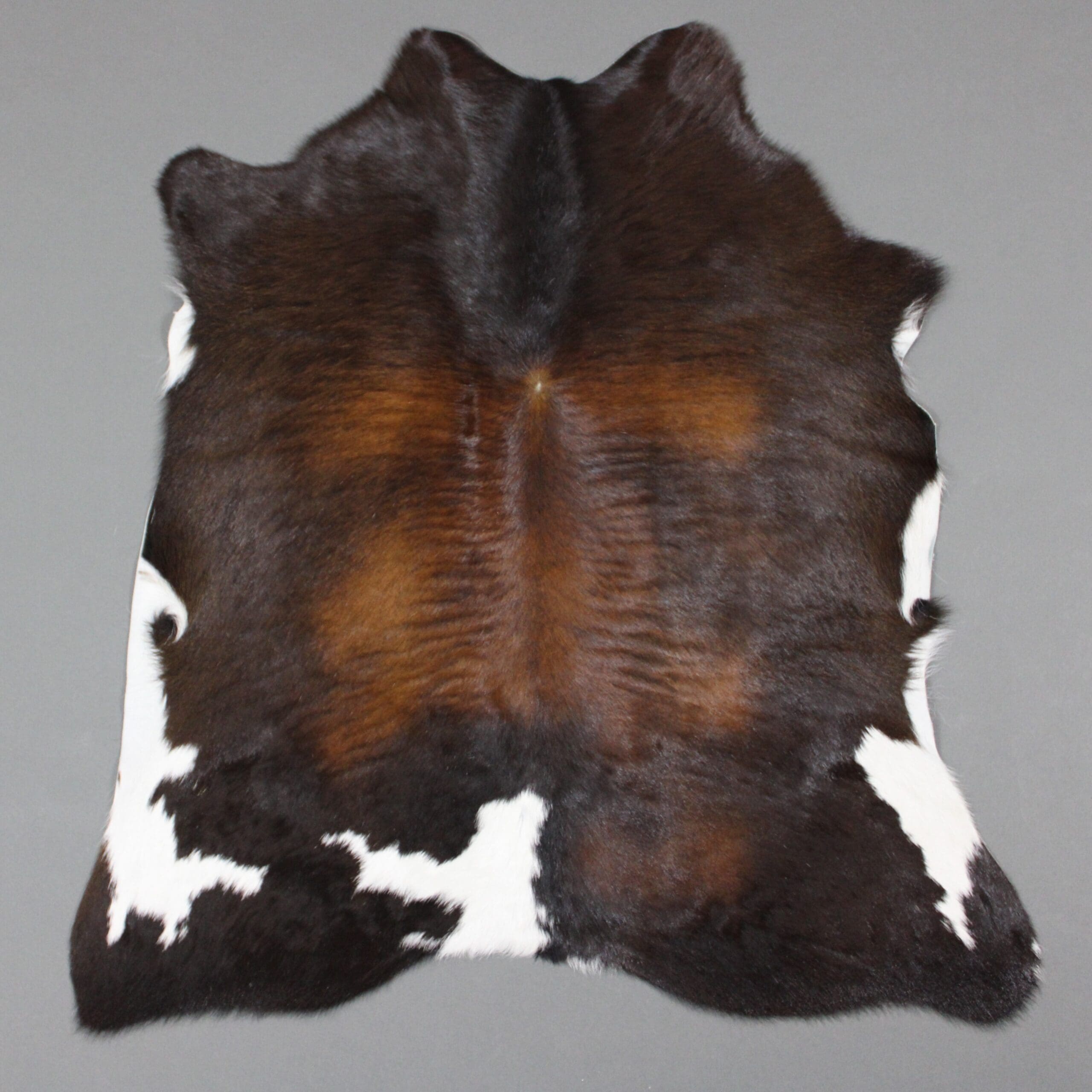 Calf Skin Rug CF160 - Hide Rugs