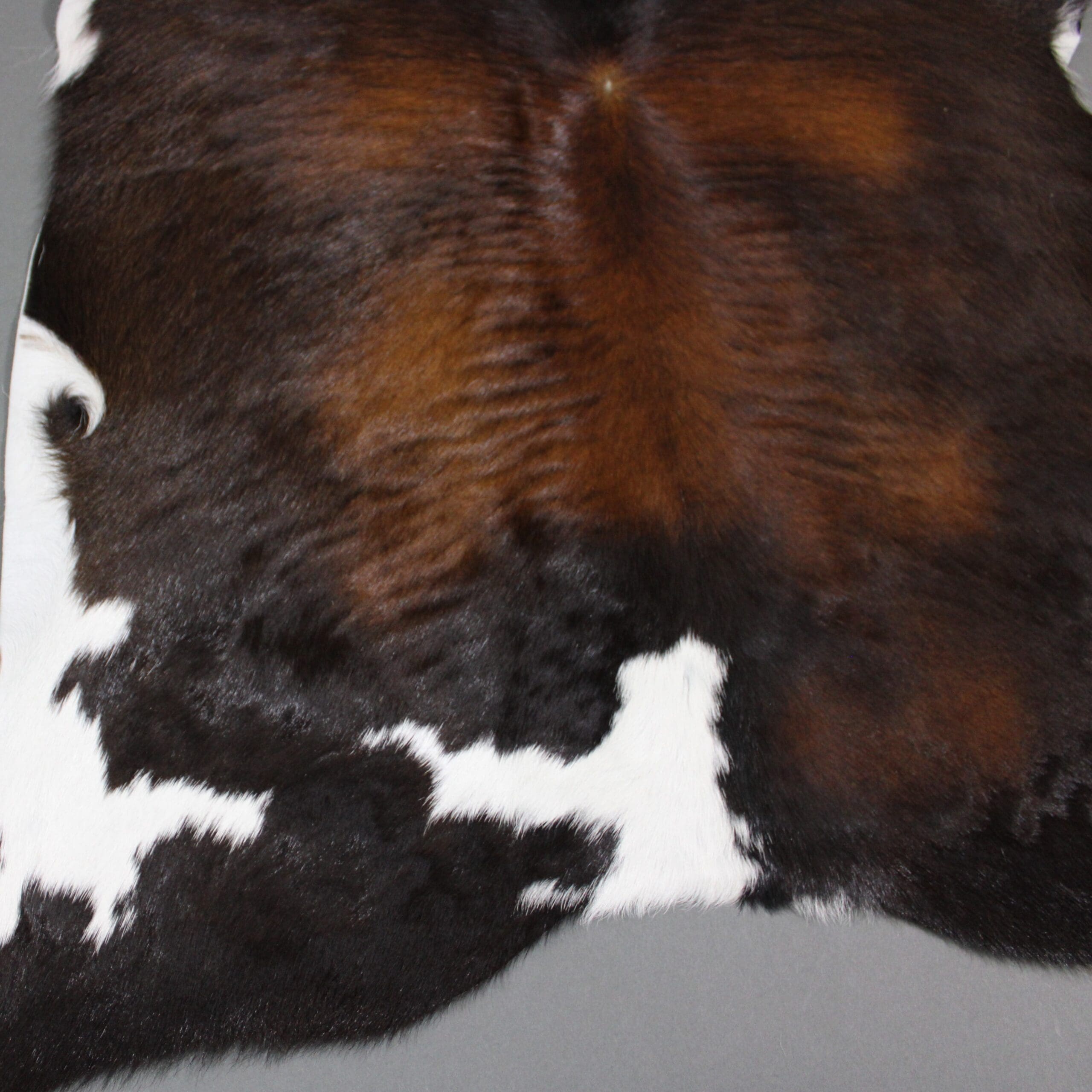 Calf Skin Rug CF160 - Hide Rugs