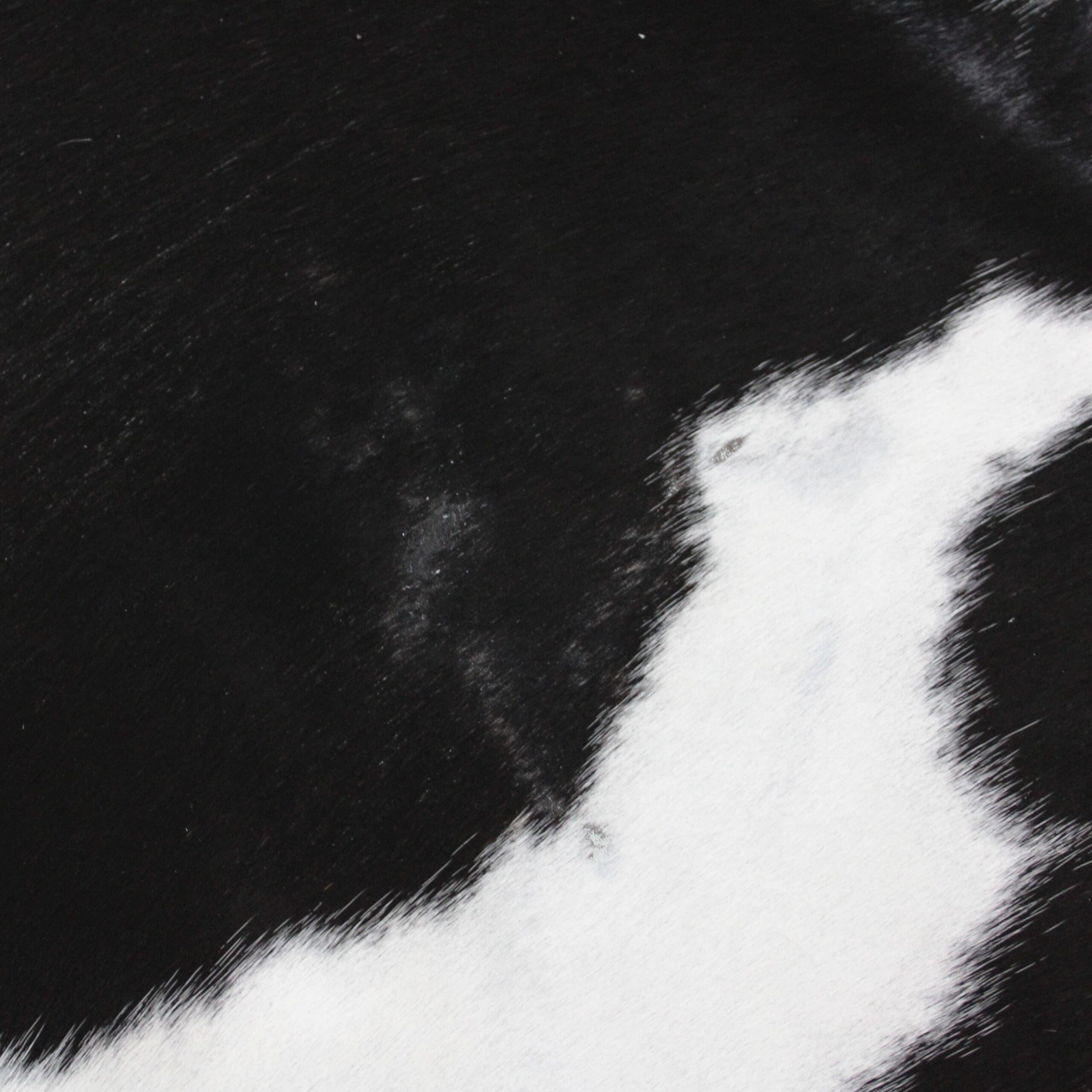 Cowhide Rug Exotic C00913 - Hide Rugs