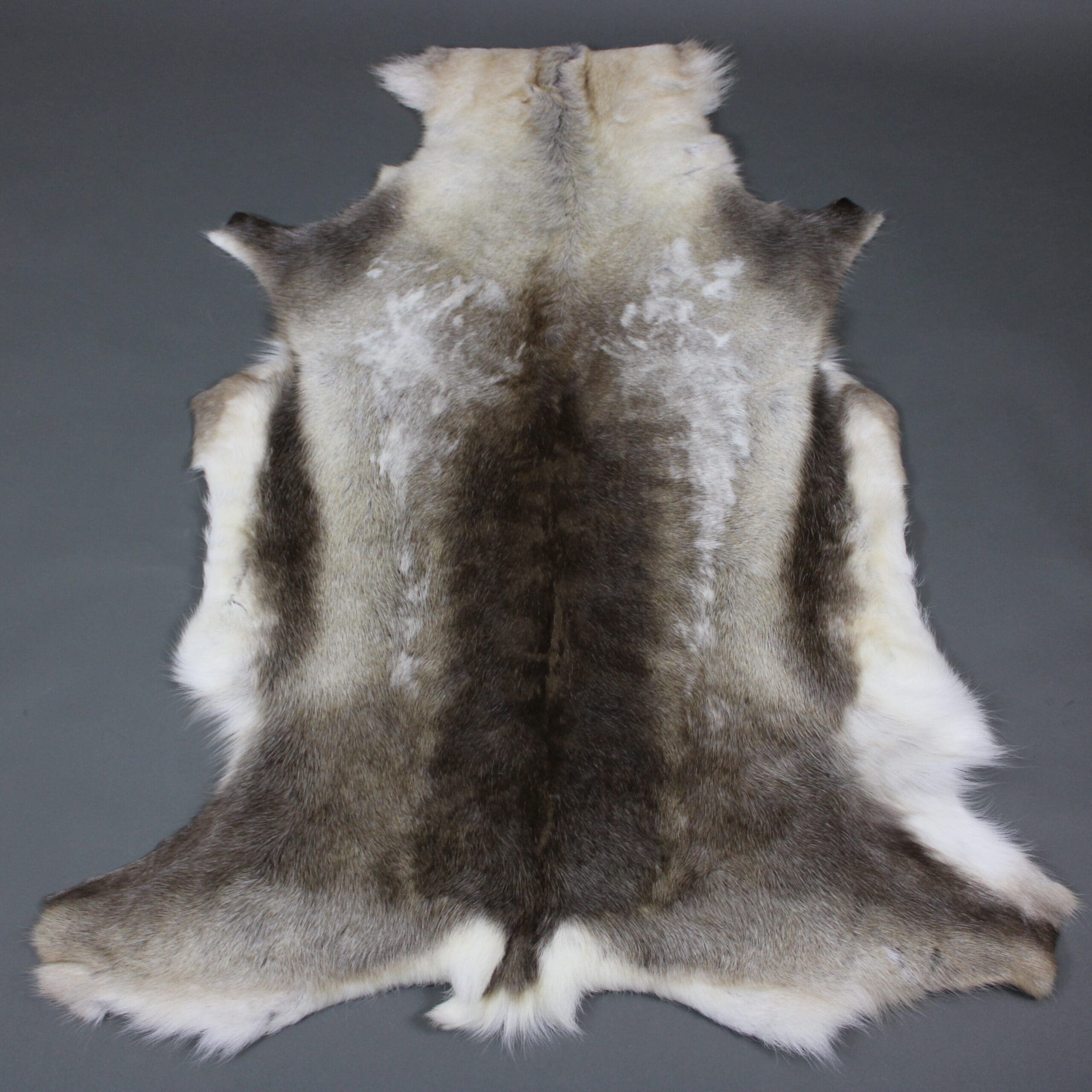 Large Reindeer Hide Rug R1053 - Hide Rugs