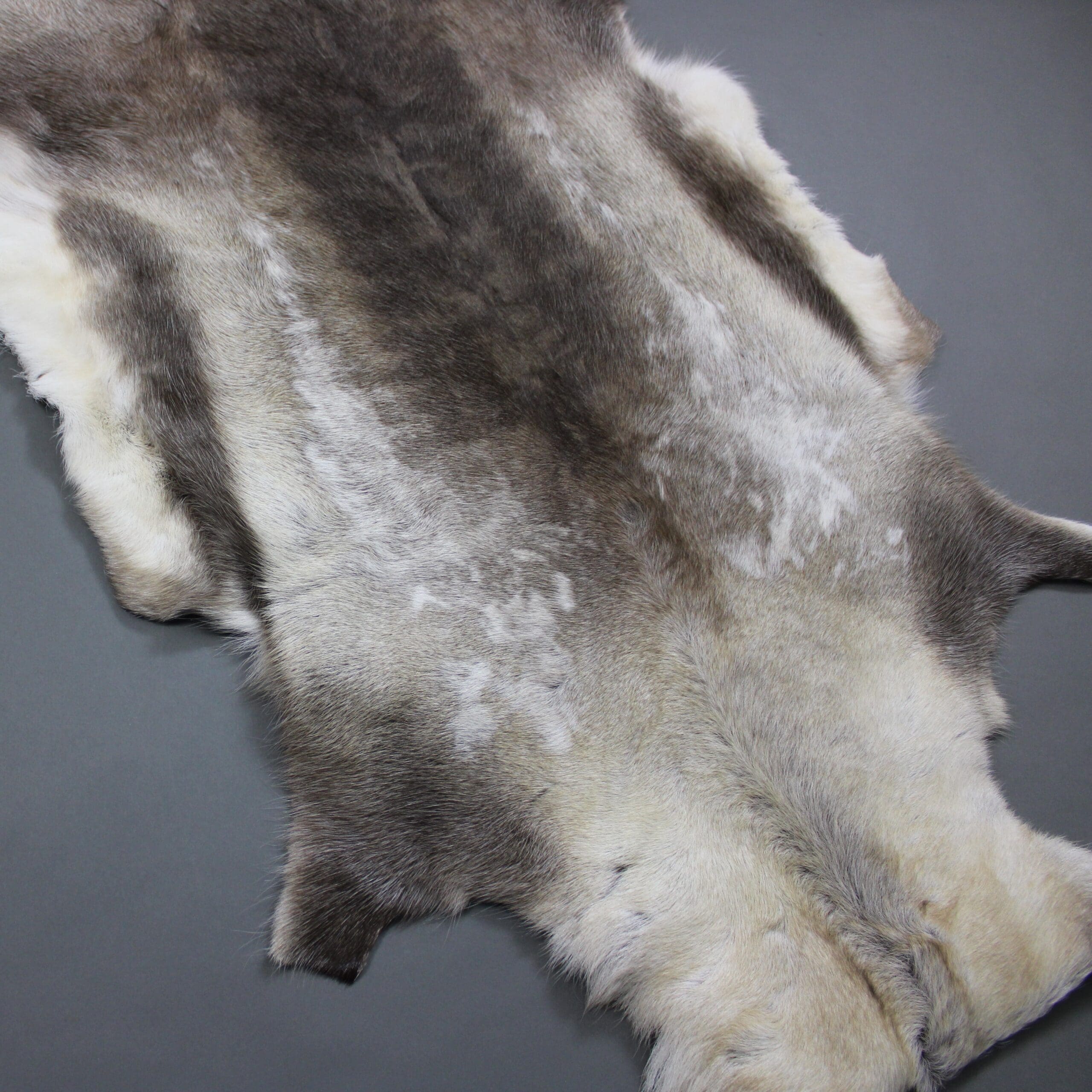 Large Reindeer Hide Rug R1053 - Hide Rugs