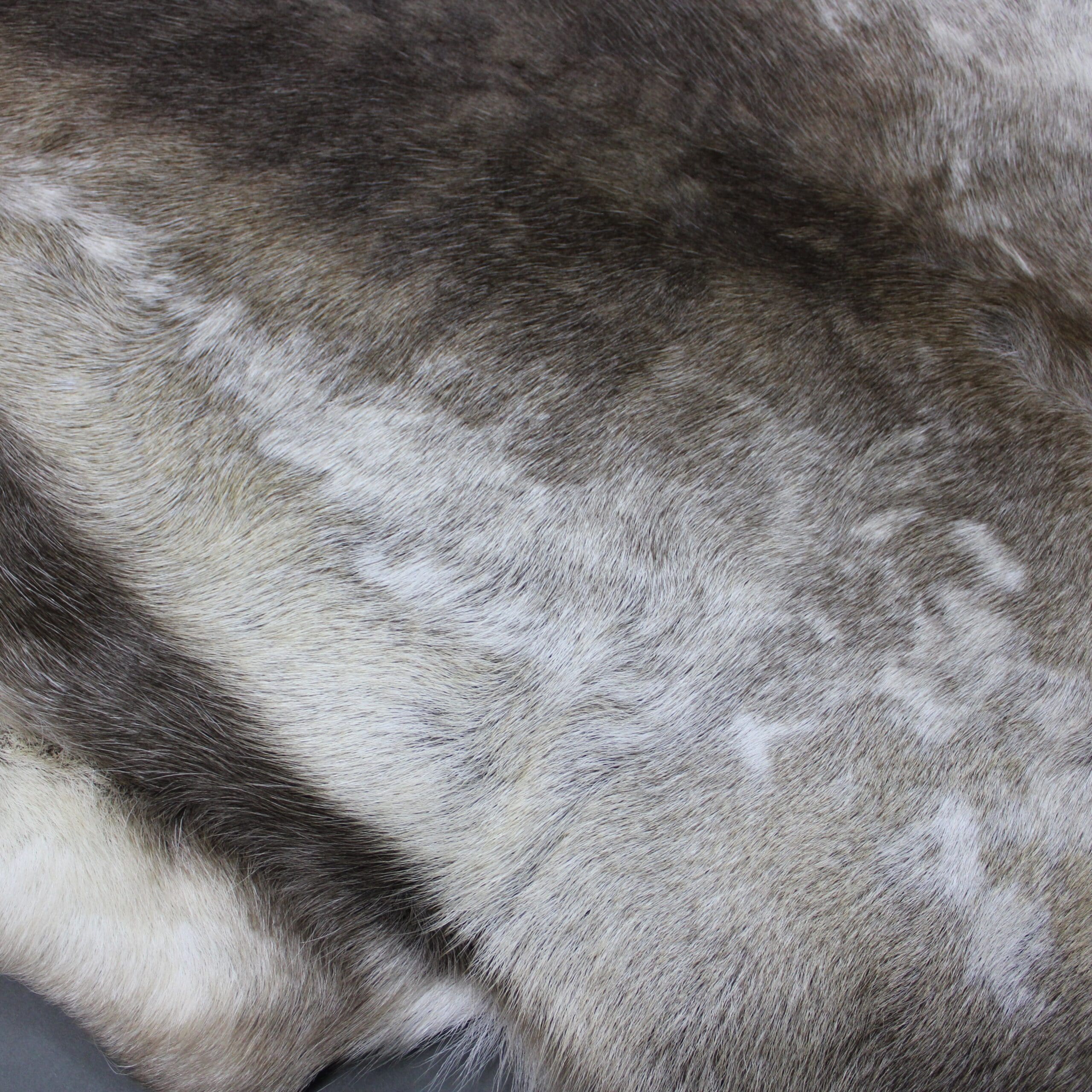 Large Reindeer Hide Rug R1053 - Hide Rugs