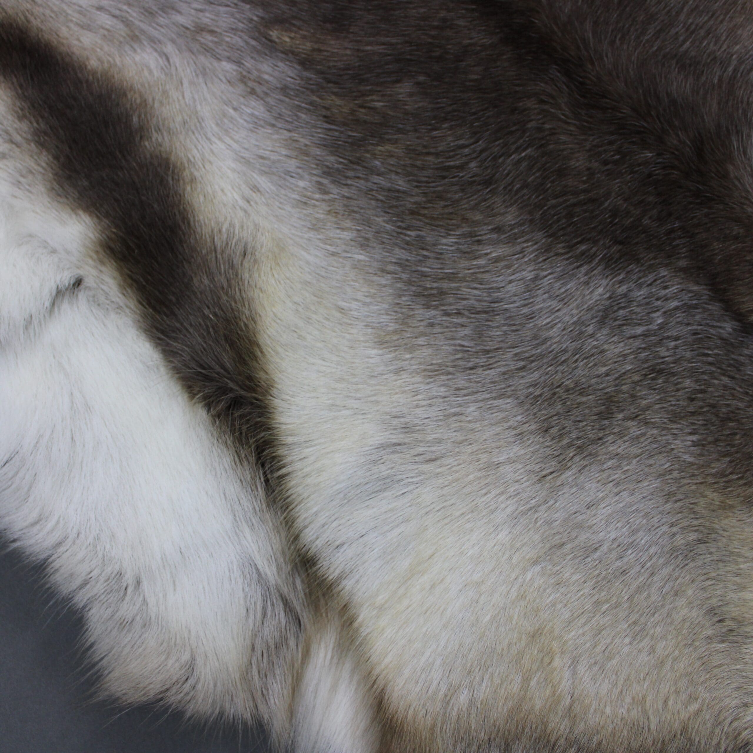 Reindeer Hide Rug R1076 - Hide Rugs