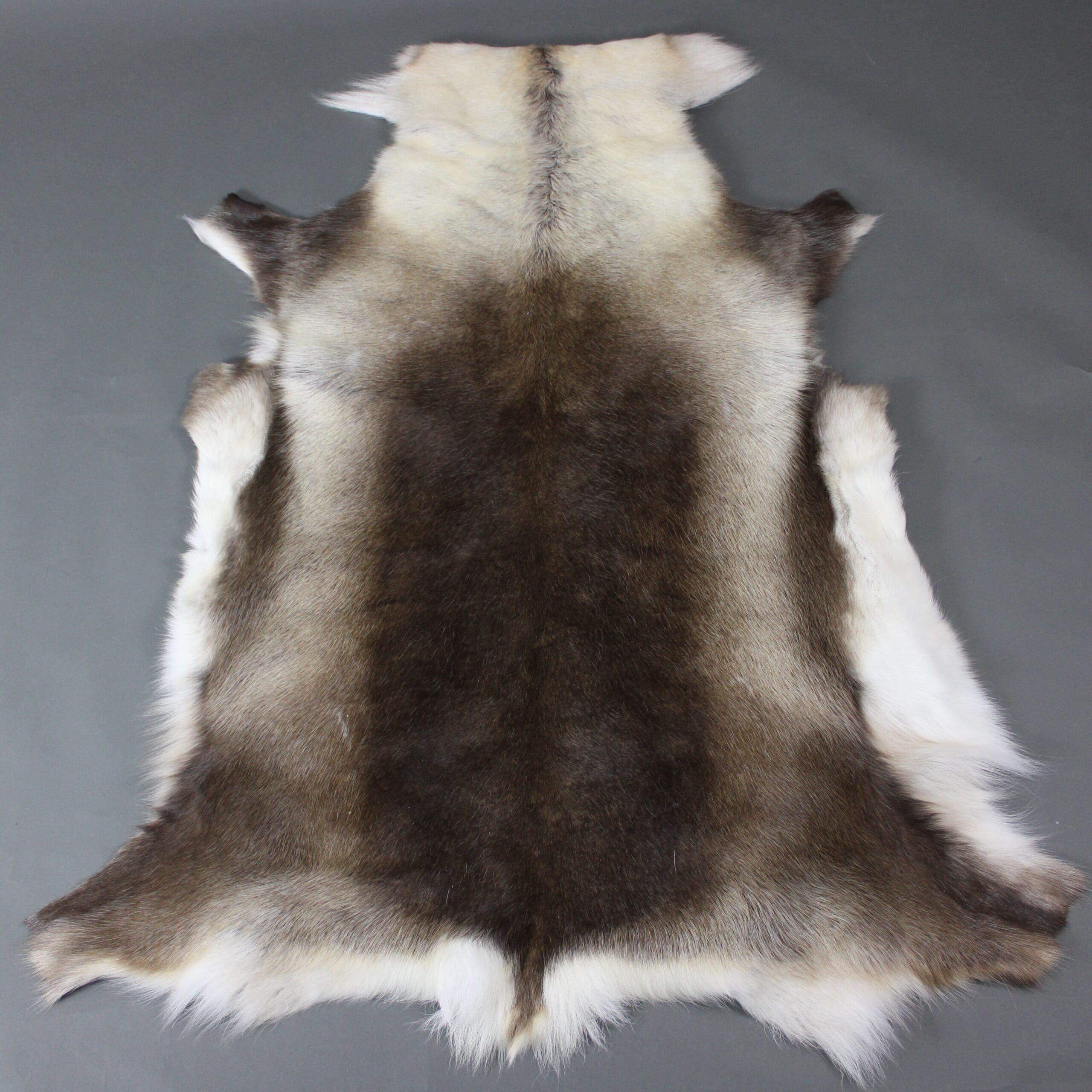 Large Reindeer Hide Rug R1090 - Hide Rugs