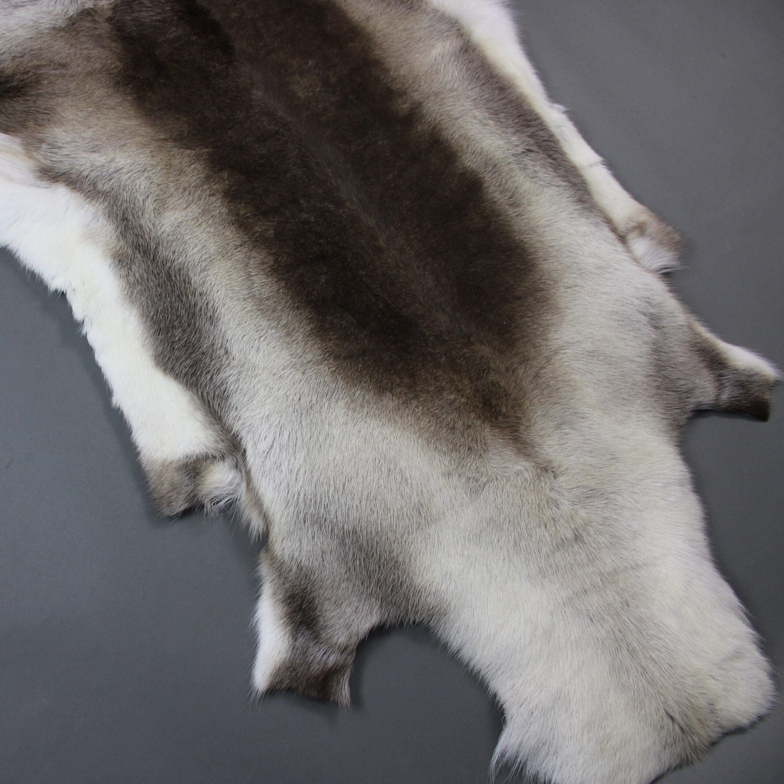 X Large Reindeer Hide Rug R1123 - Hide Rugs