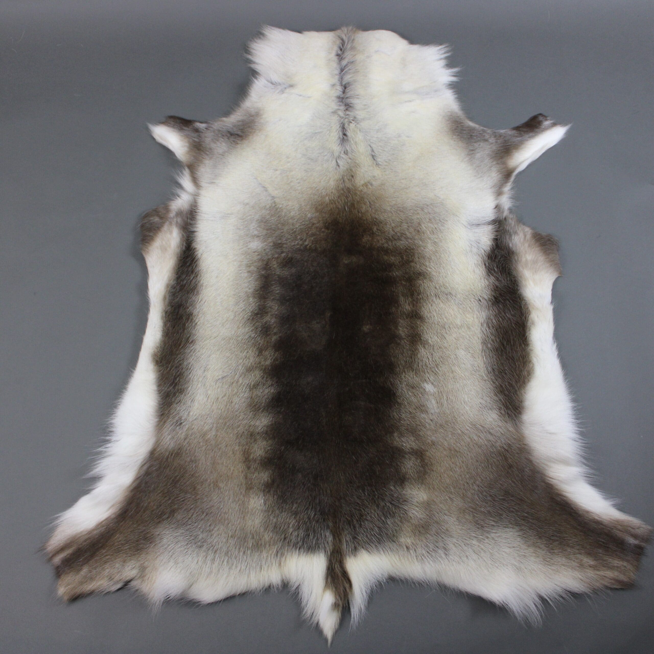 Large Reindeer Hide Rug R1125 - Hide Rugs