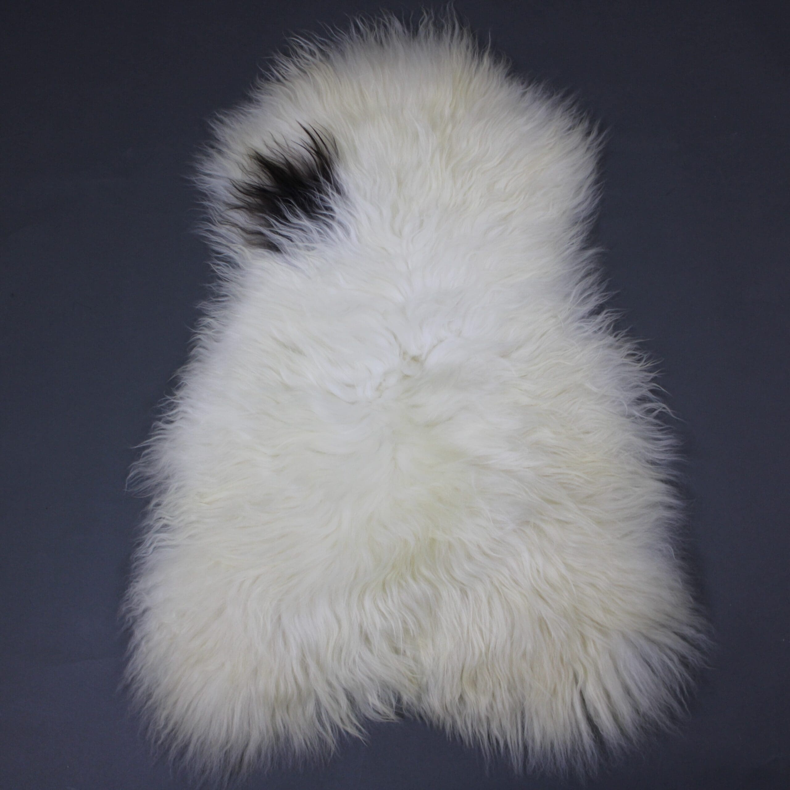 Natural Icelandic Sheepskin Rug ISM387 - Hide Rugs