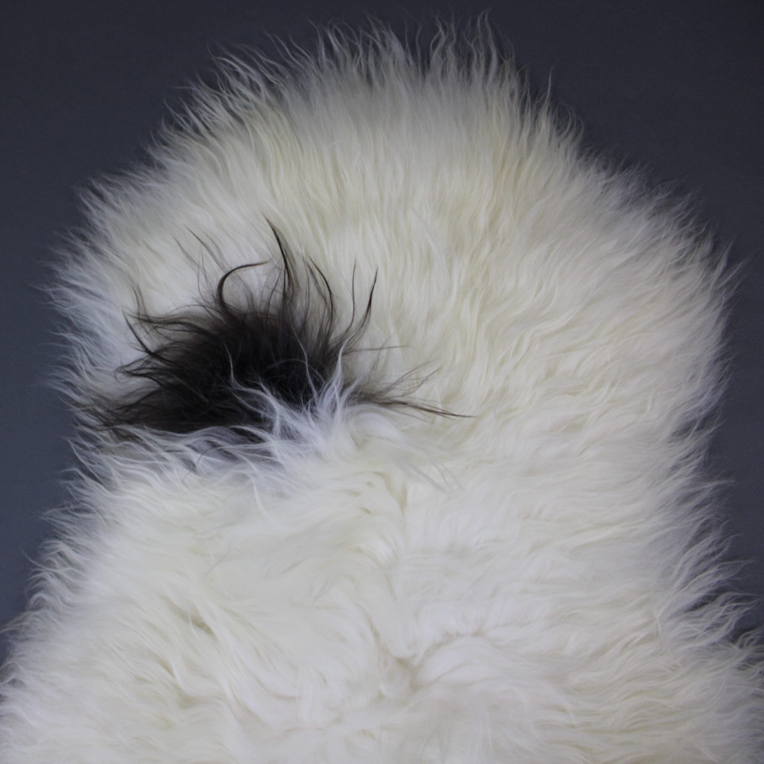 Natural Icelandic Sheepskin Rug ISM387 - Hide Rugs