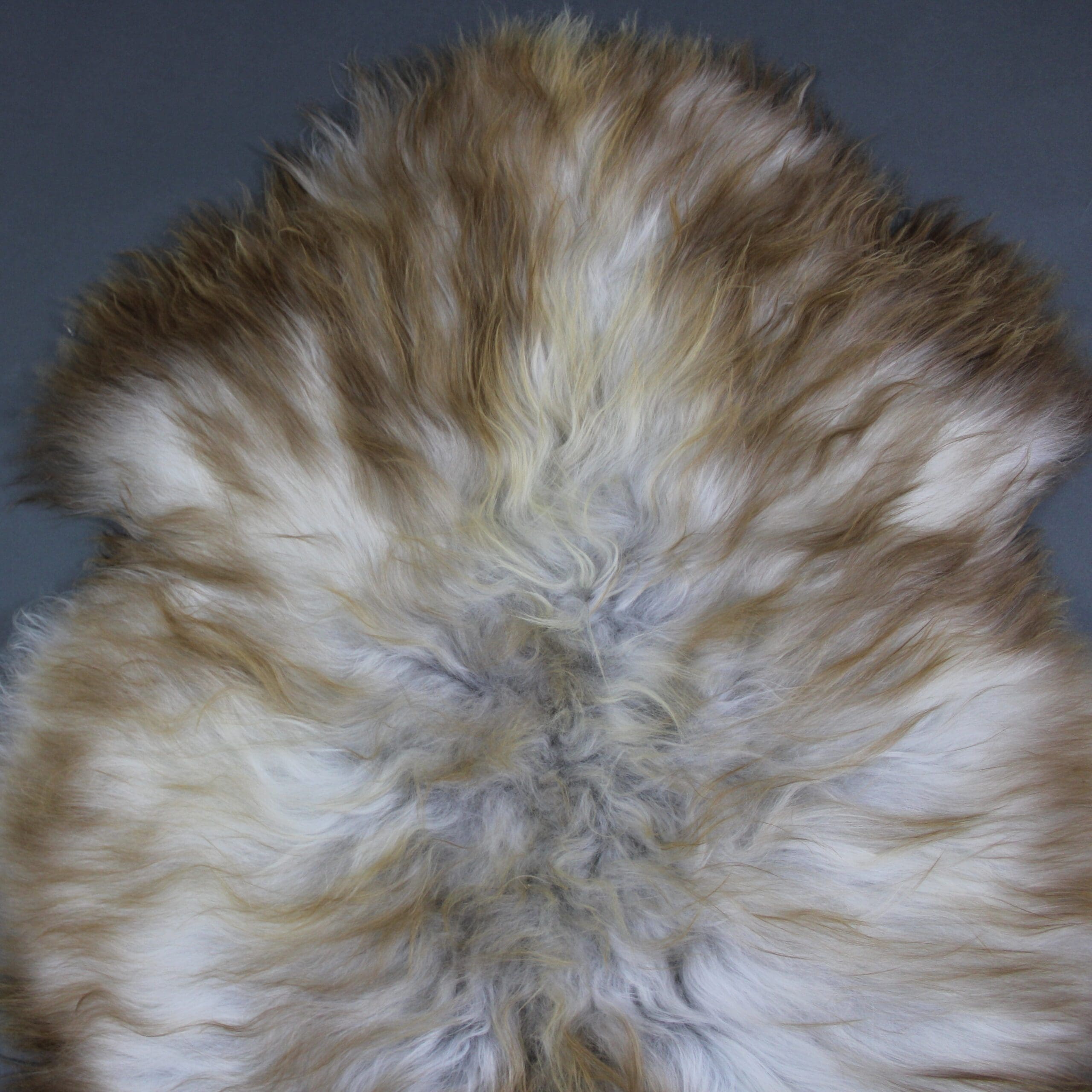 Natural Rusty Grey Icelandic Sheepskin Rug INRG15 - Hide Rugs