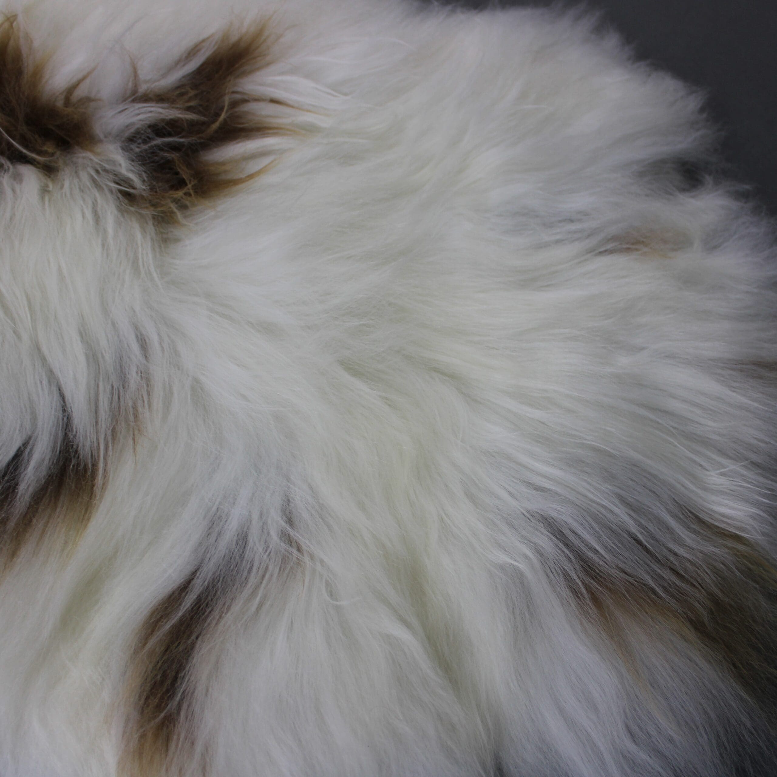 Natural Icelandic Sheepskin Rug ISM390 - Hide Rugs