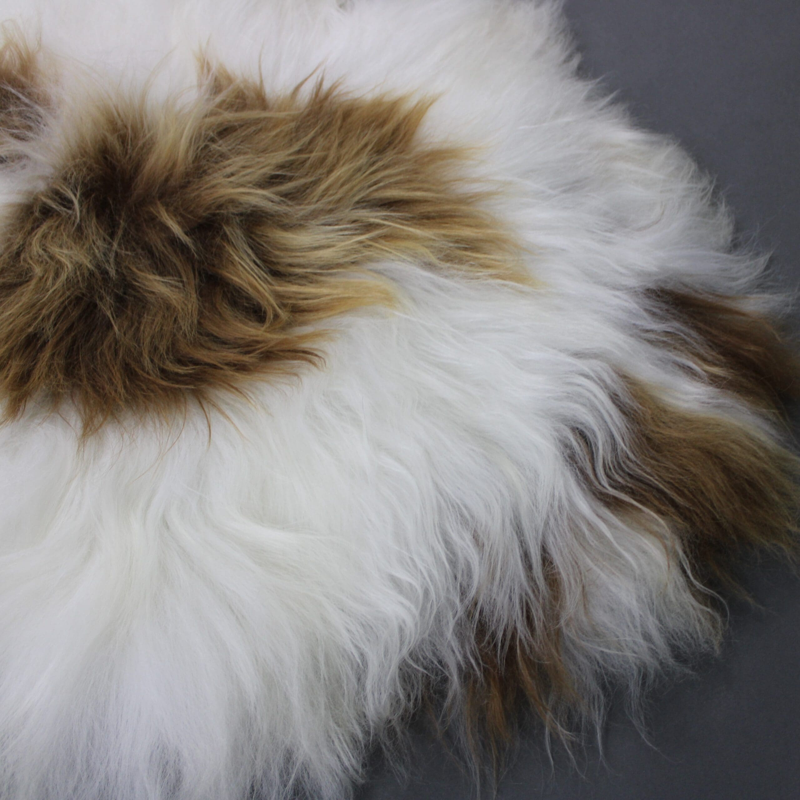 Natural Icelandic Sheepskin Rug ISM391 - Hide Rugs