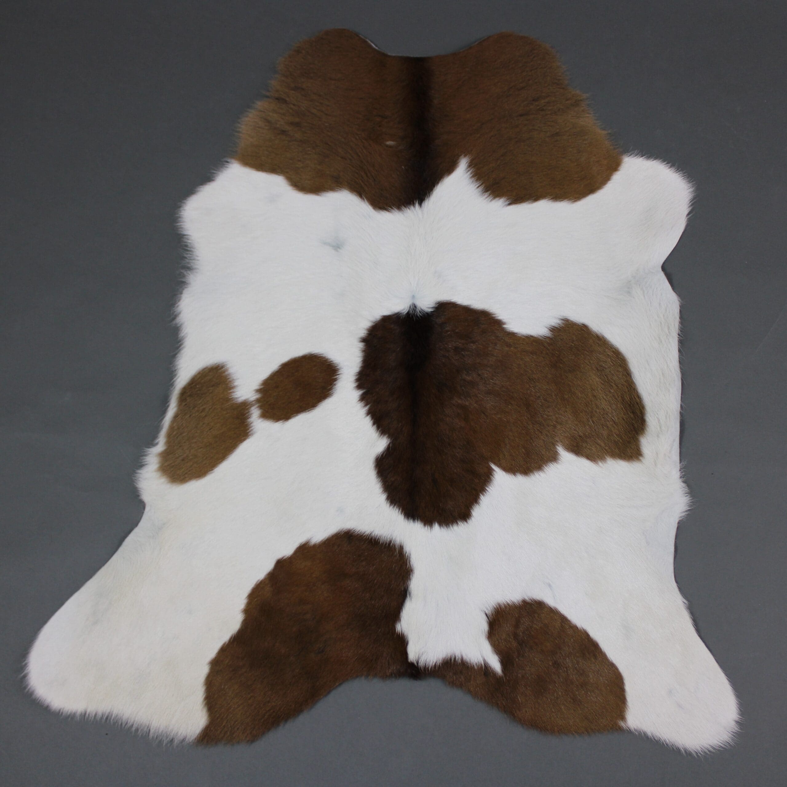 Calf Skin Rug CF168 - Hide Rugs