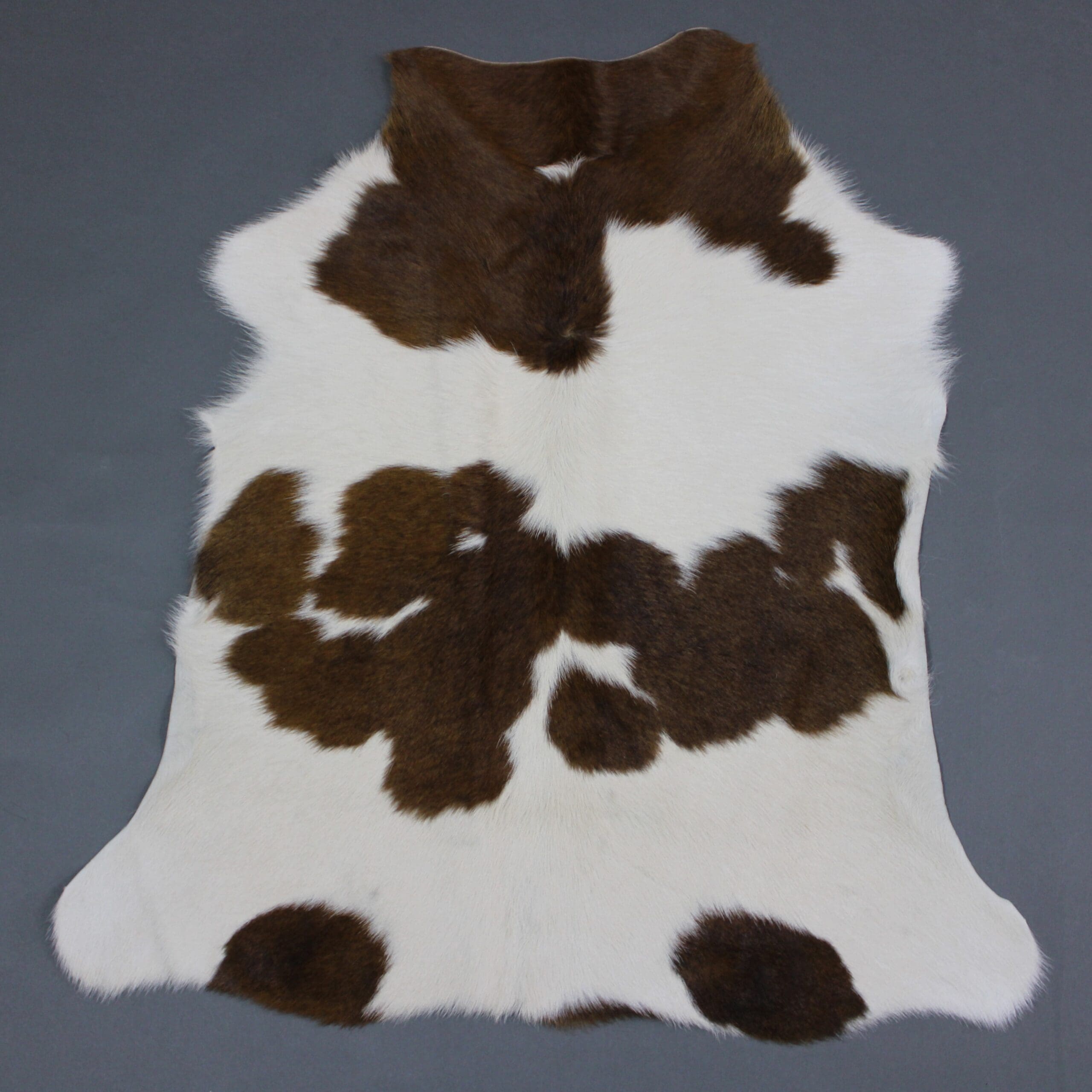 Calf Skin Rug CF170 - Hide Rugs