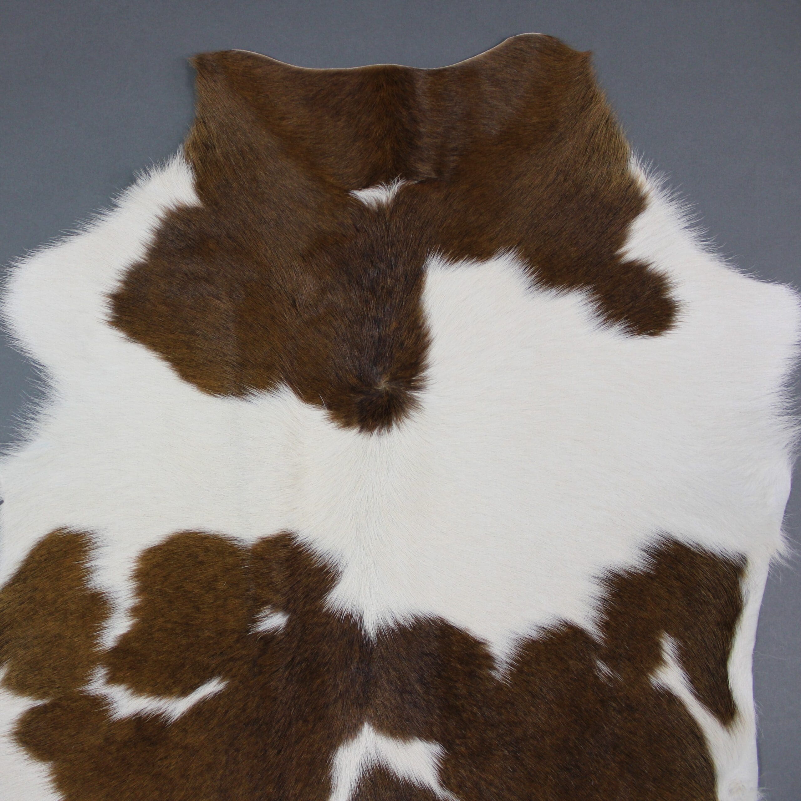 Calf Skin Rug CF170 - Hide Rugs