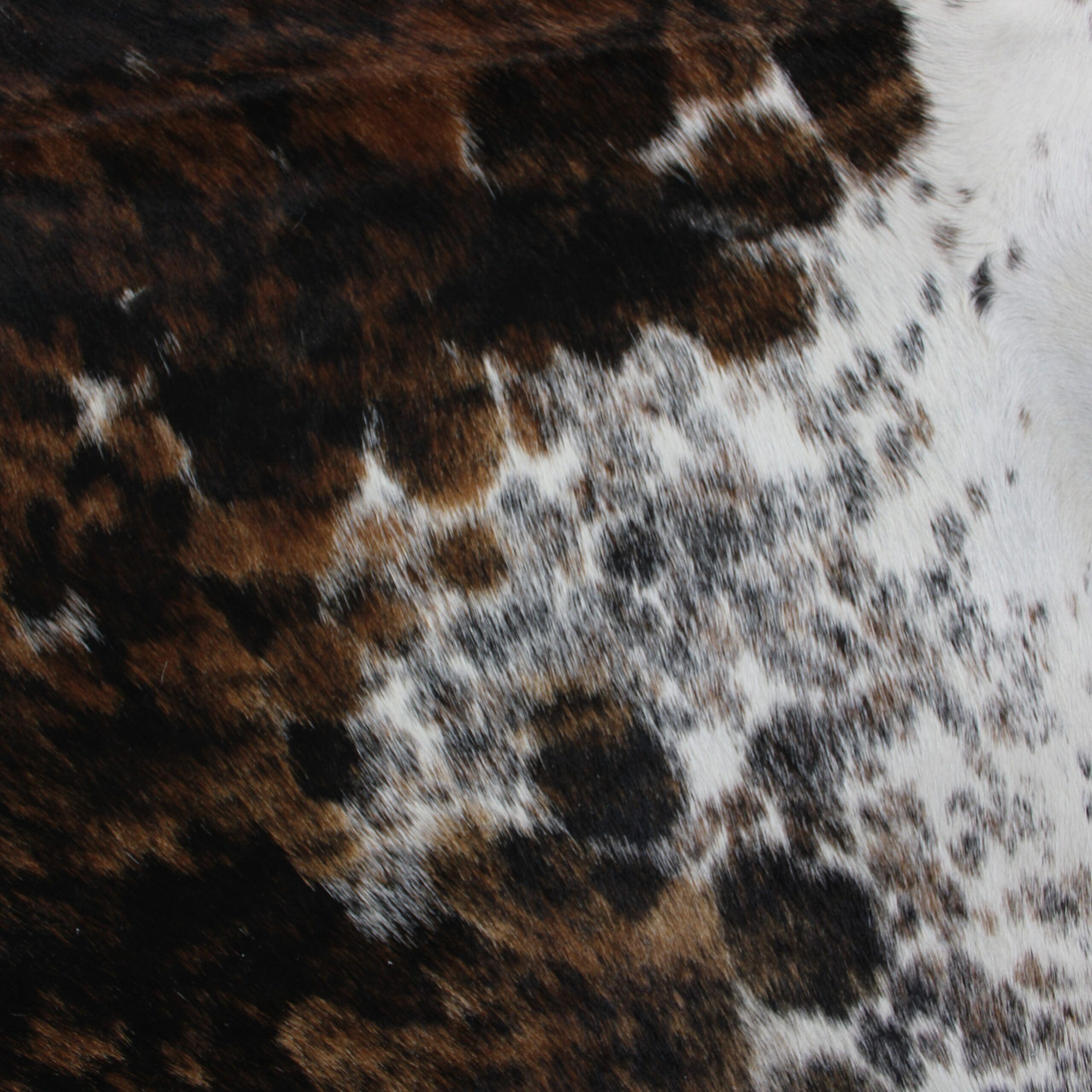 Cowhide Rug Exotic C00977 - Hide Rugs