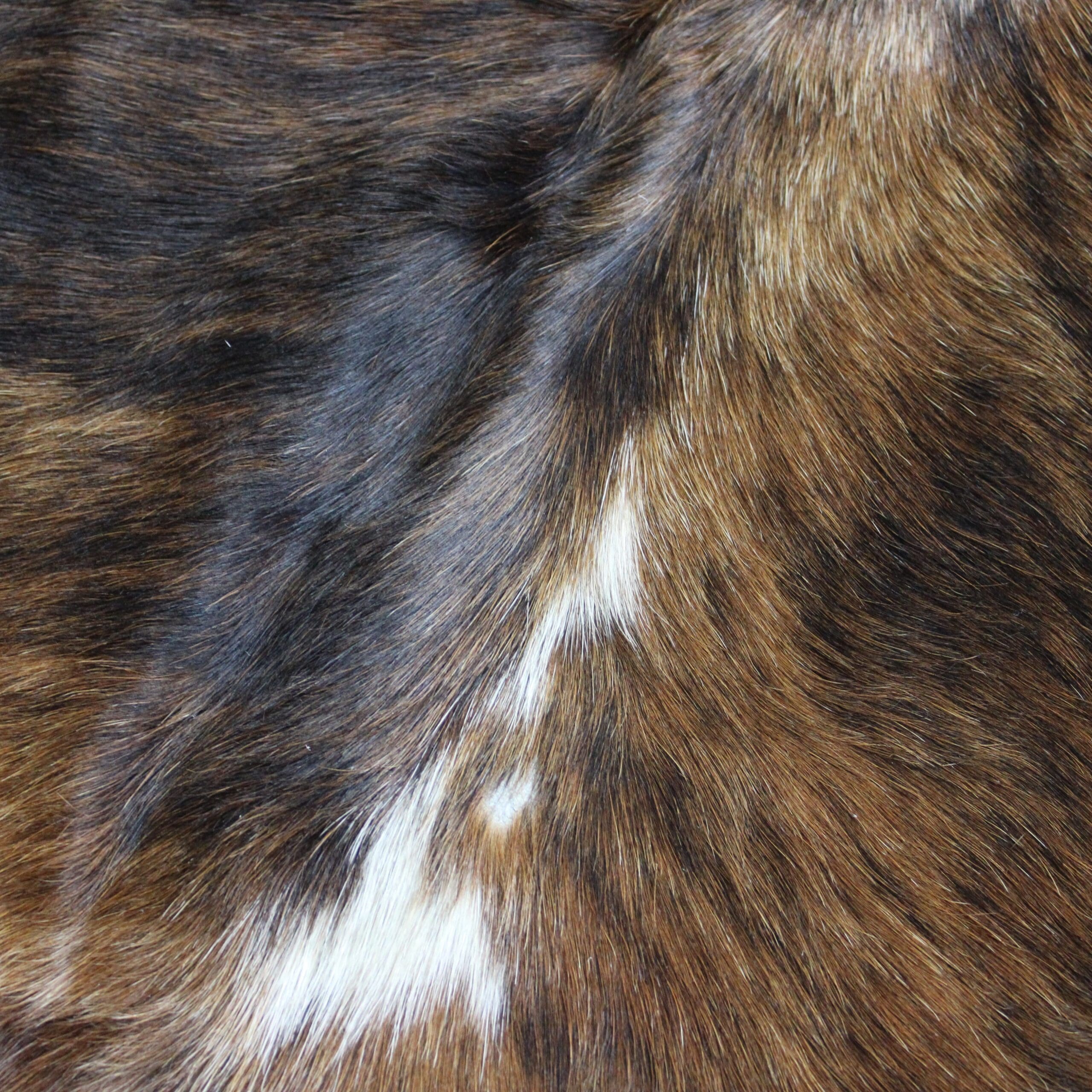 Cowhide Rug Exotic C01006 - Hide Rugs