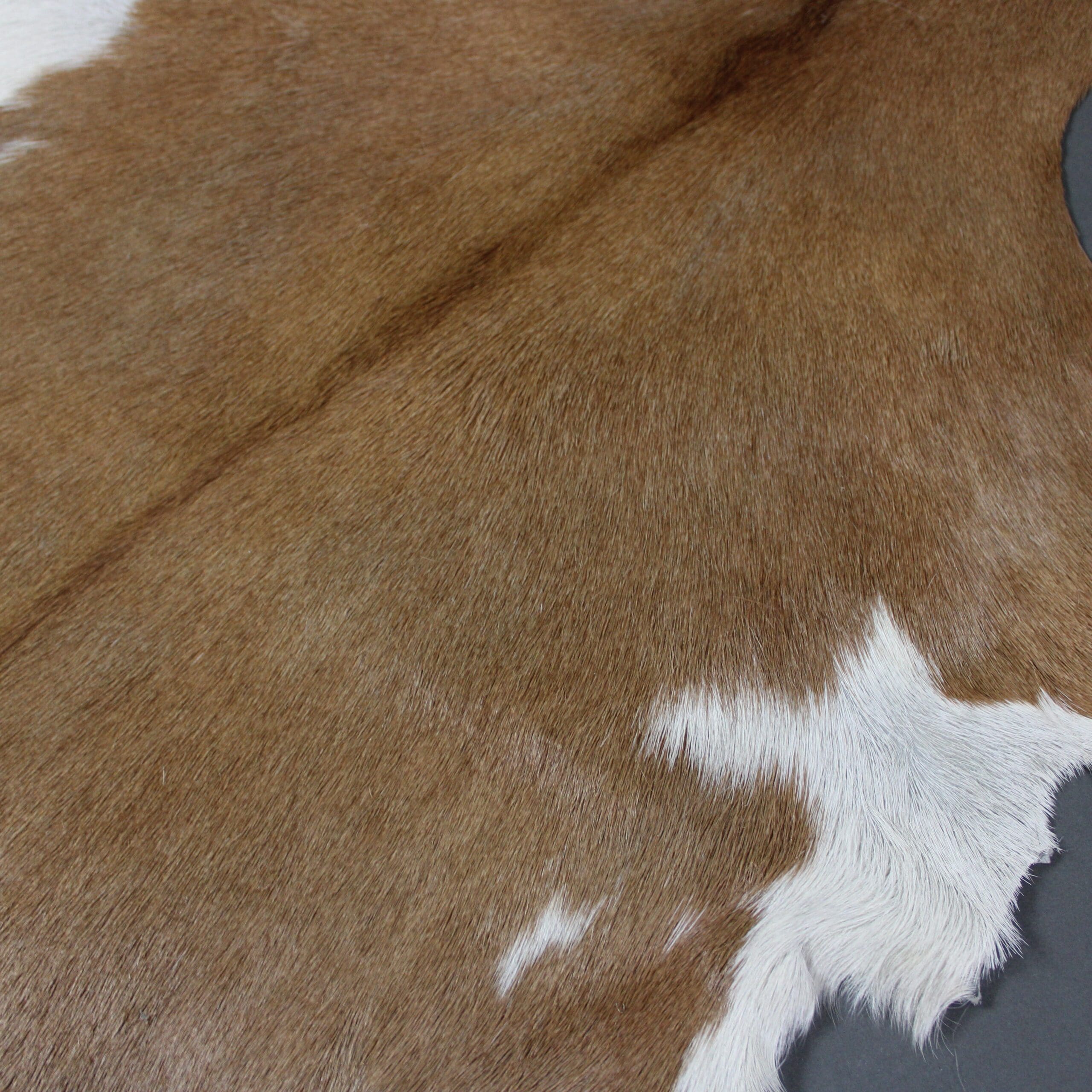 Goatskin Rug G1000 - Hide Rugs