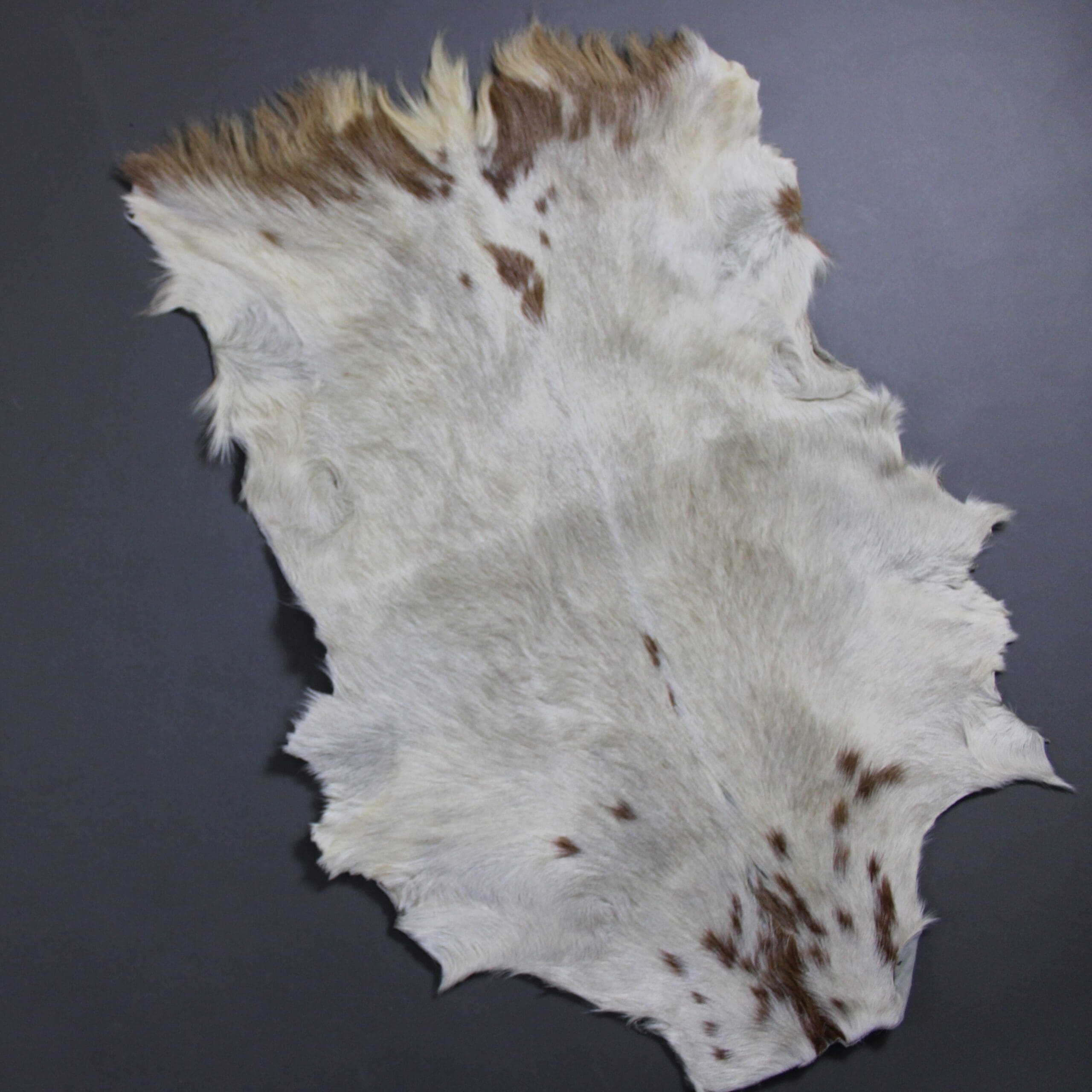 Natural Goatskin Rug - Exotic Short Hair Animal Hide