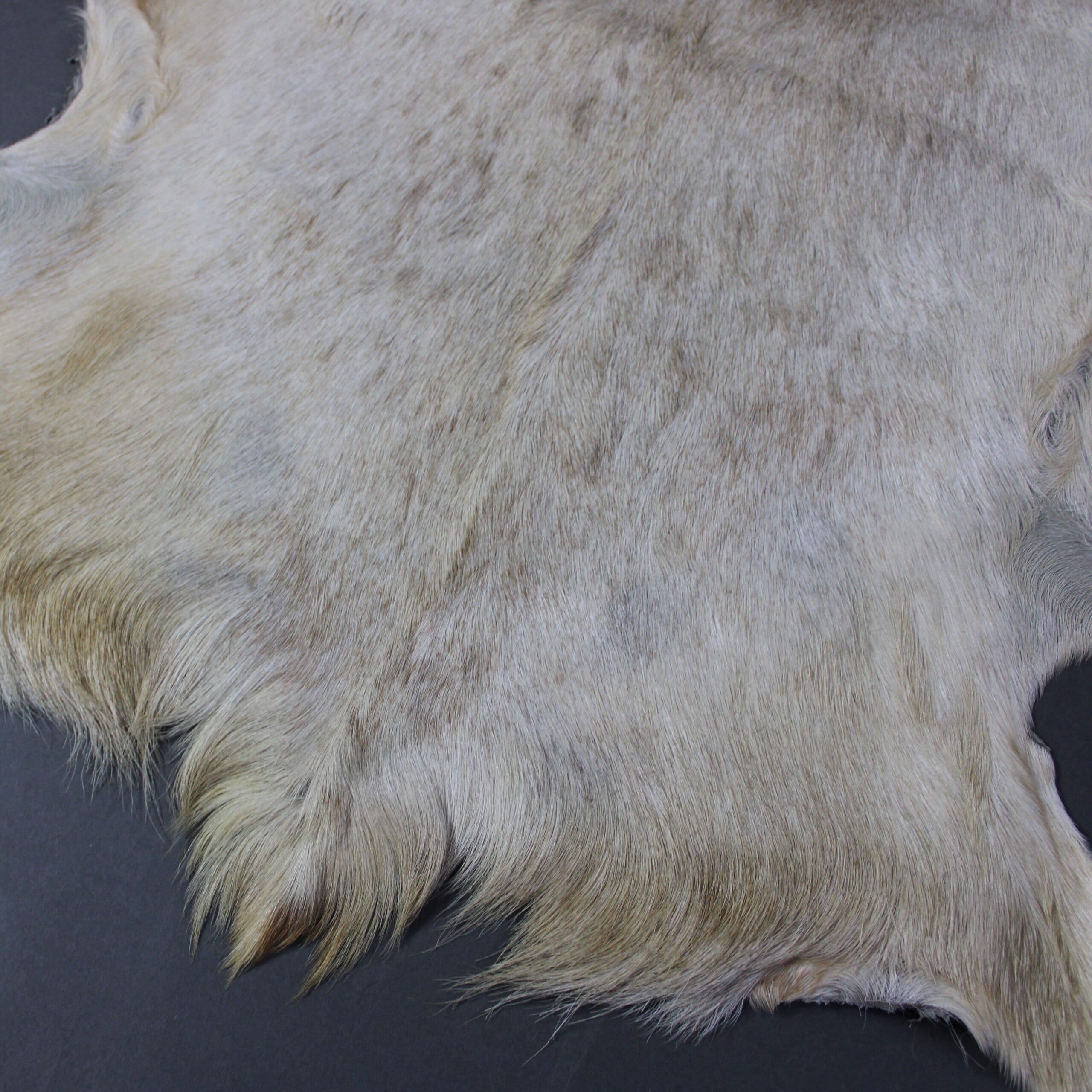 Small Goatskin Rug - Natural Beige and Cream Hide Rug