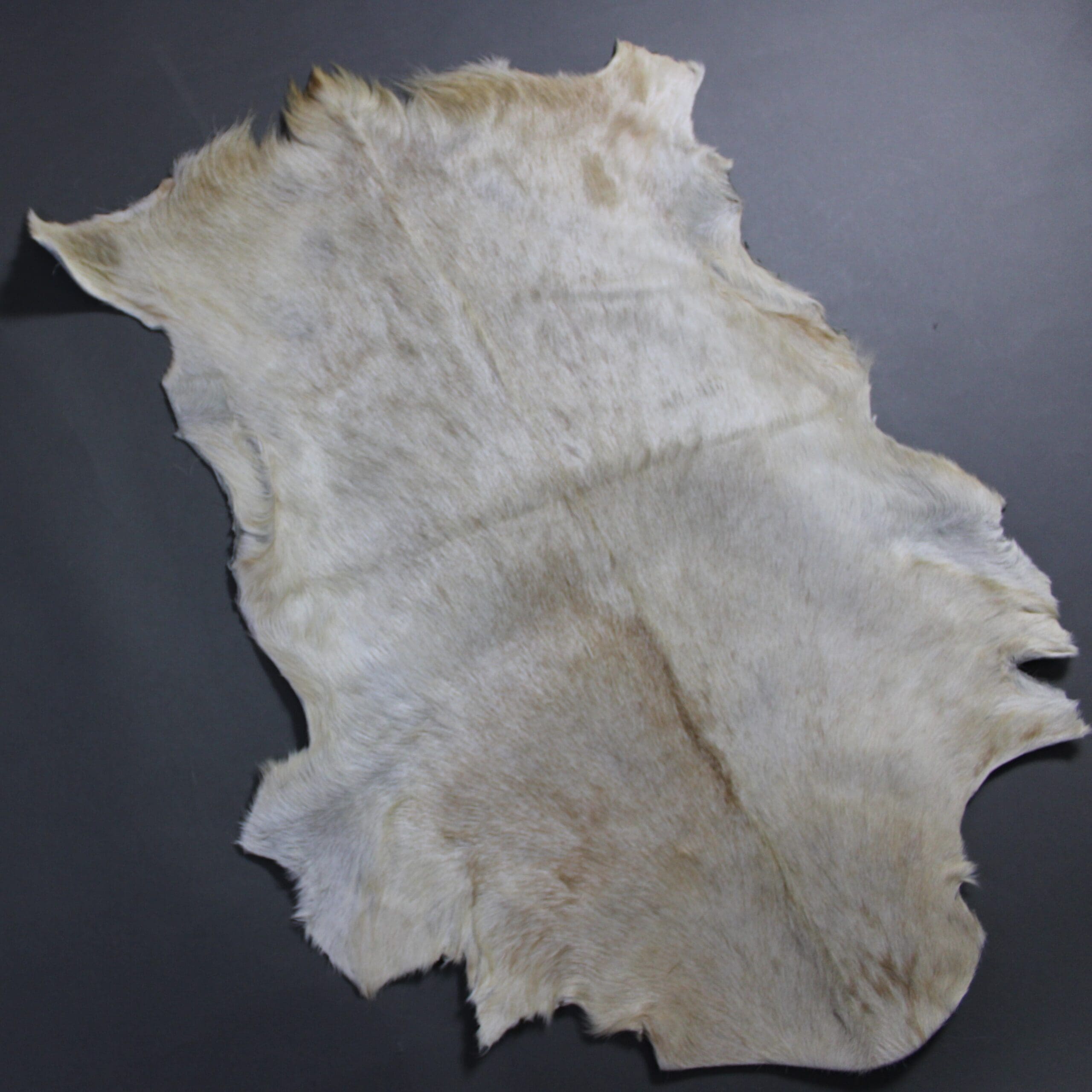 Small Goatskin Rug - Natural Beige and Cream Hide Rug