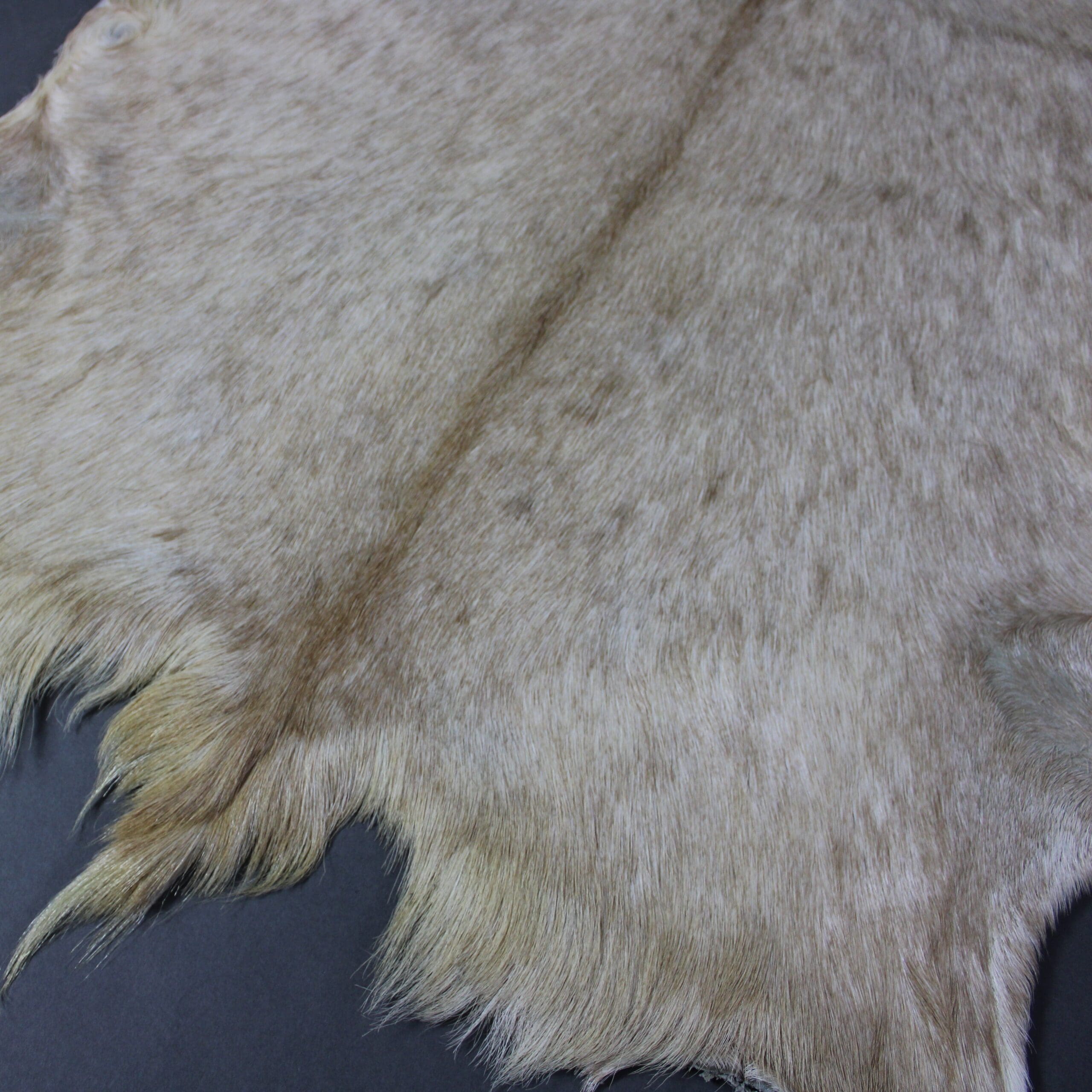 Small Goatskin Rug - Natural Beige, Ivory and Cream Hide