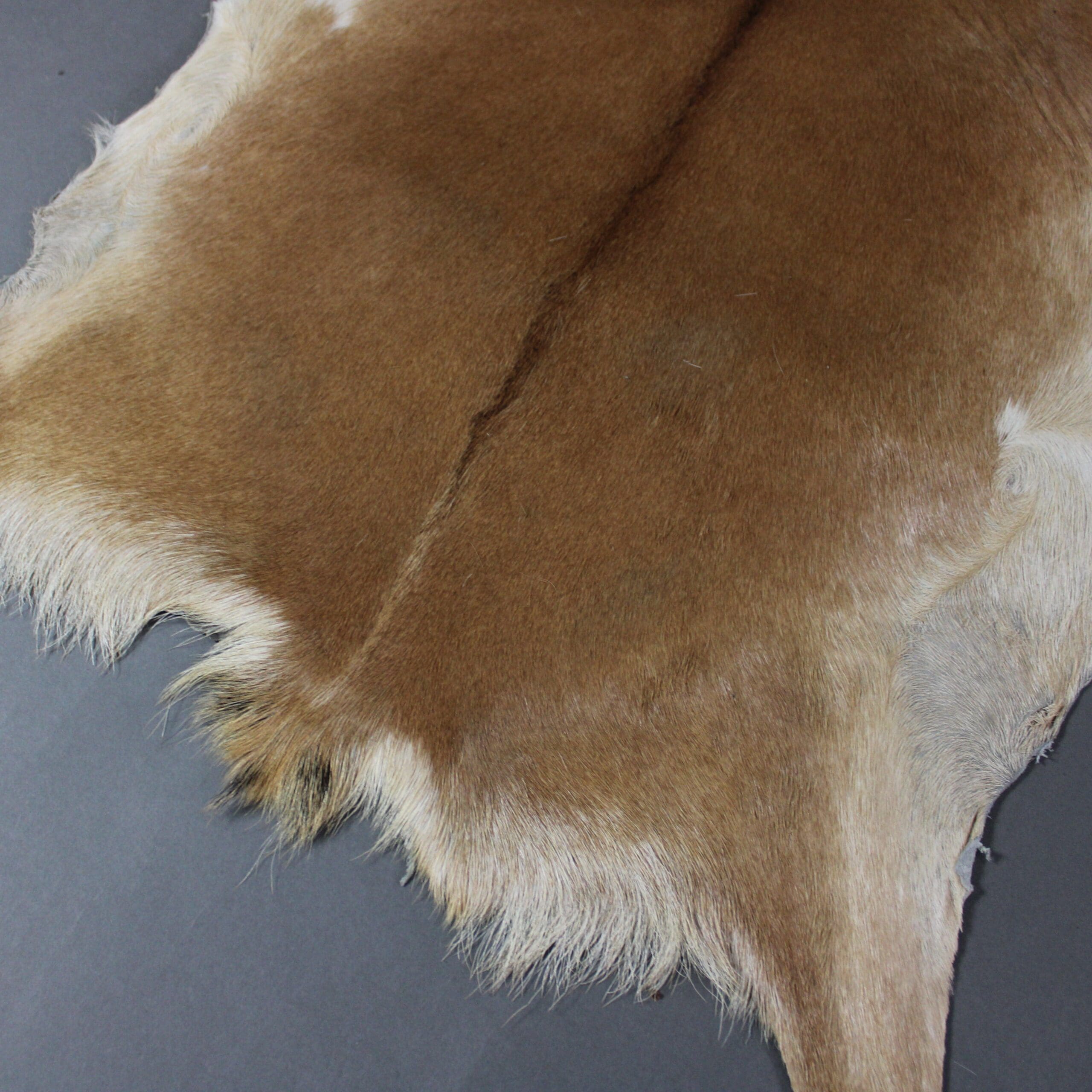 Small Goatskin Rug - Natural Brown and Cream Hide Rug