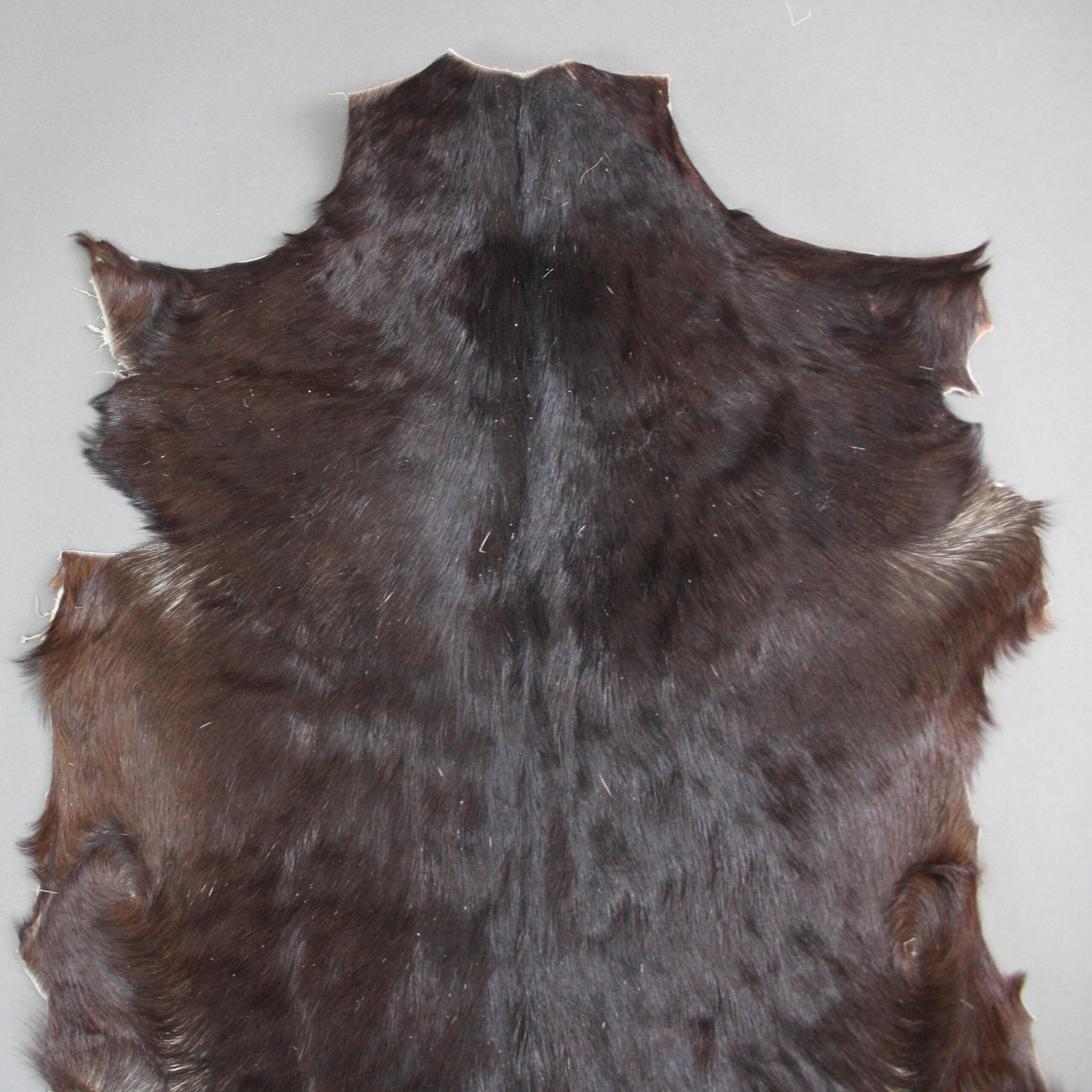 Small Natural Goatskin Rug - Brown, Ivory and Cream