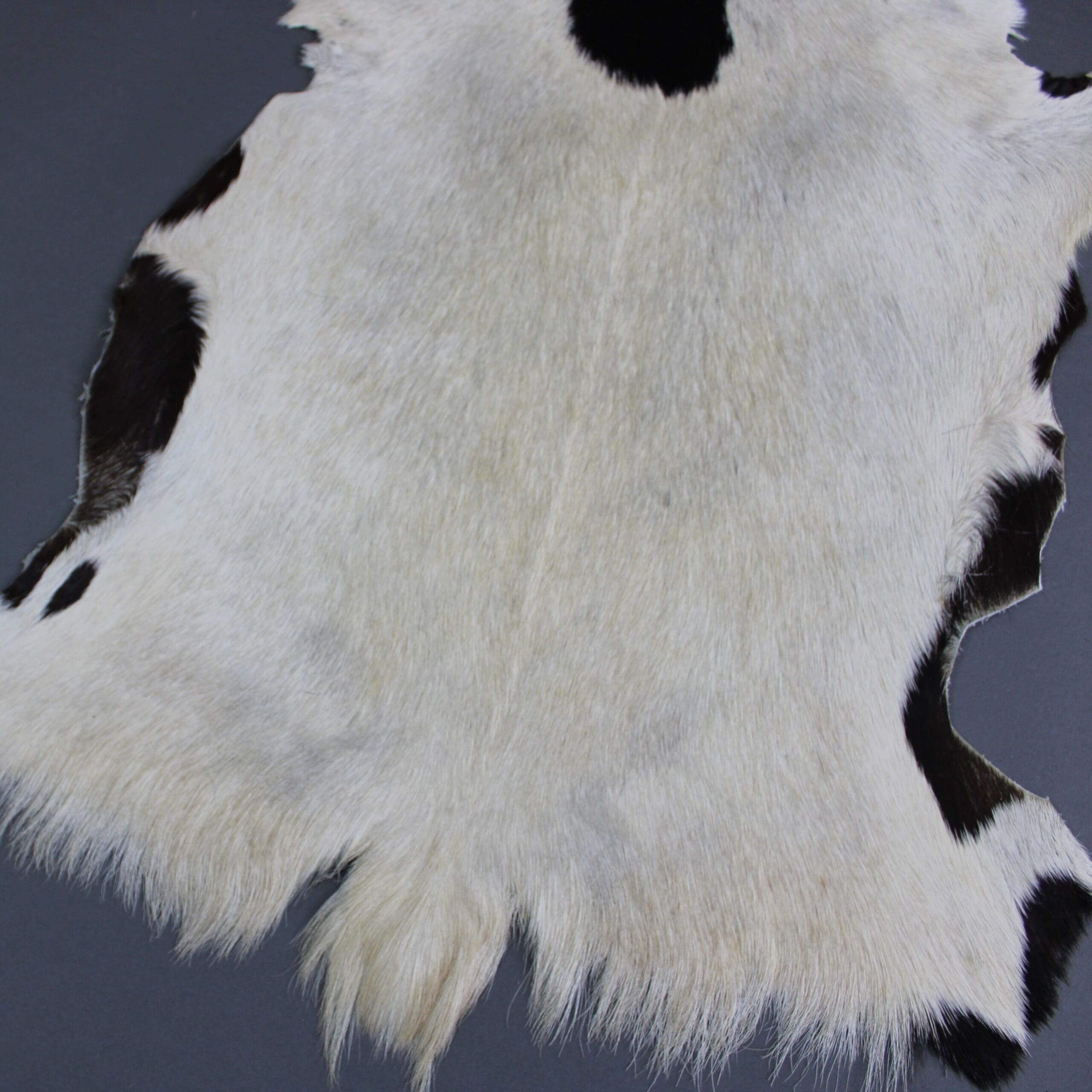 Goatskin Rug G1040 - Hide Rugs