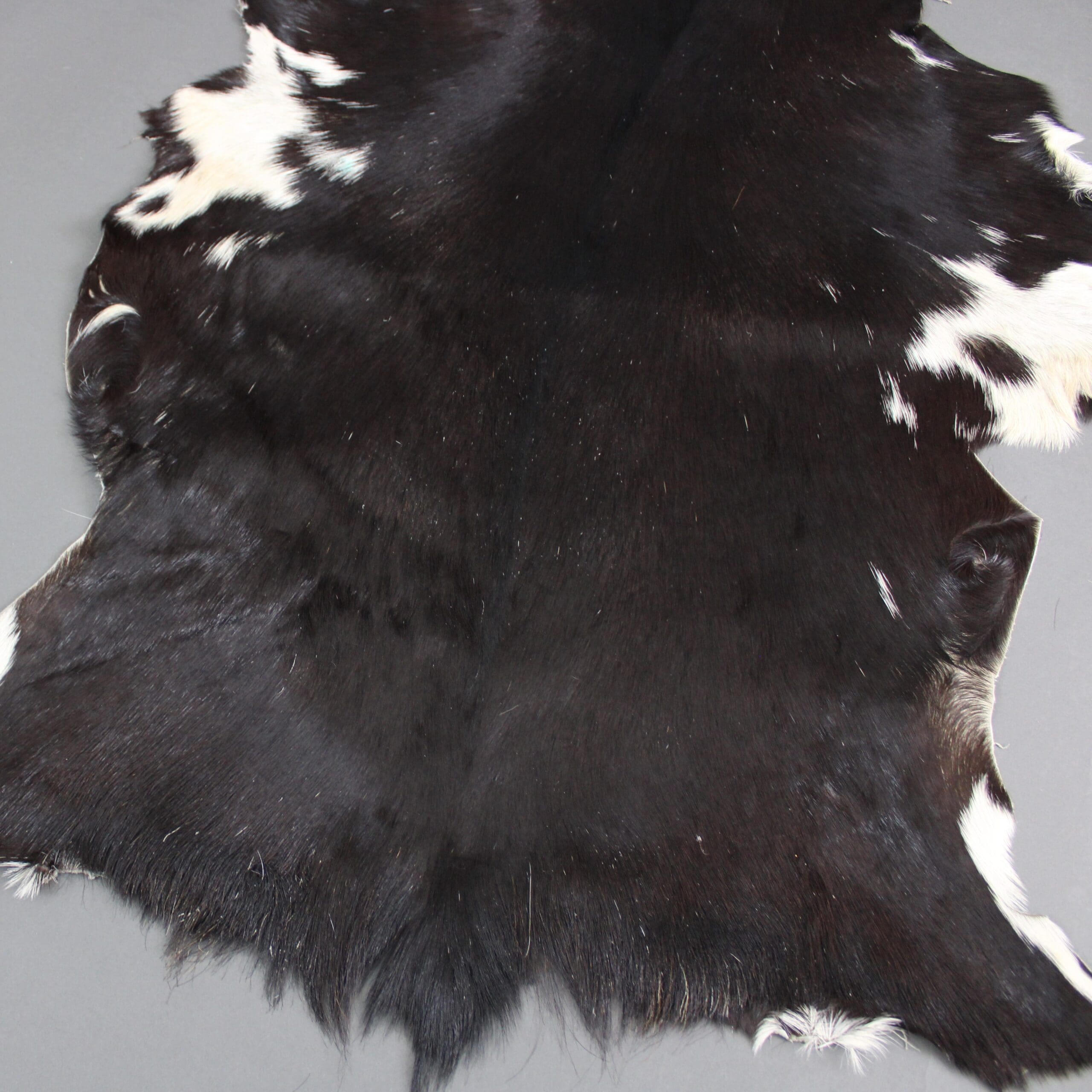 Small Natural Goatskin Rug - Brown, Ivory and Cream