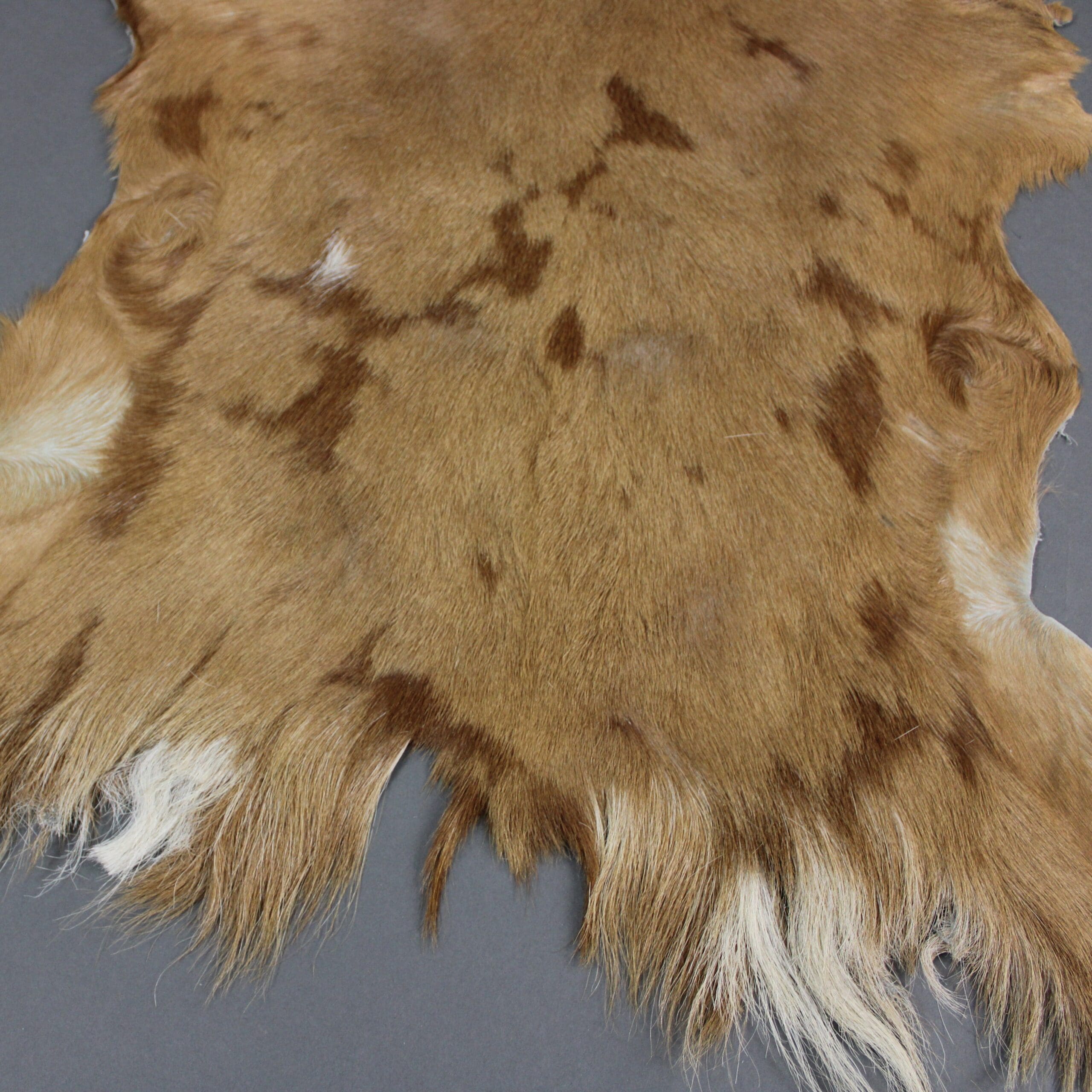 Small Natural Goatskin Rug - Brown, Ivory and Cream