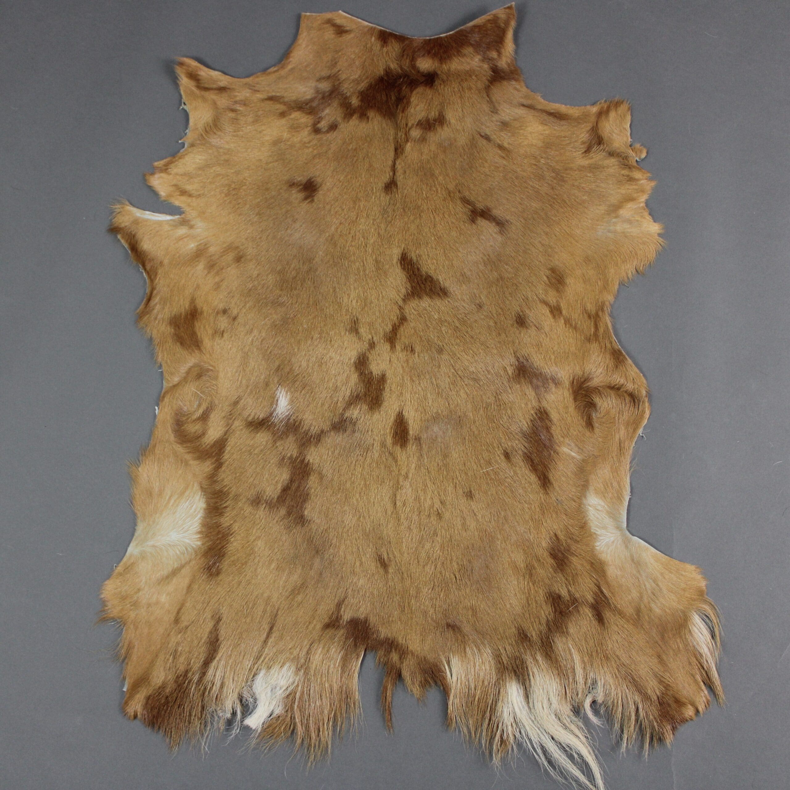 Small Natural Goatskin Rug - Brown, Ivory and Cream